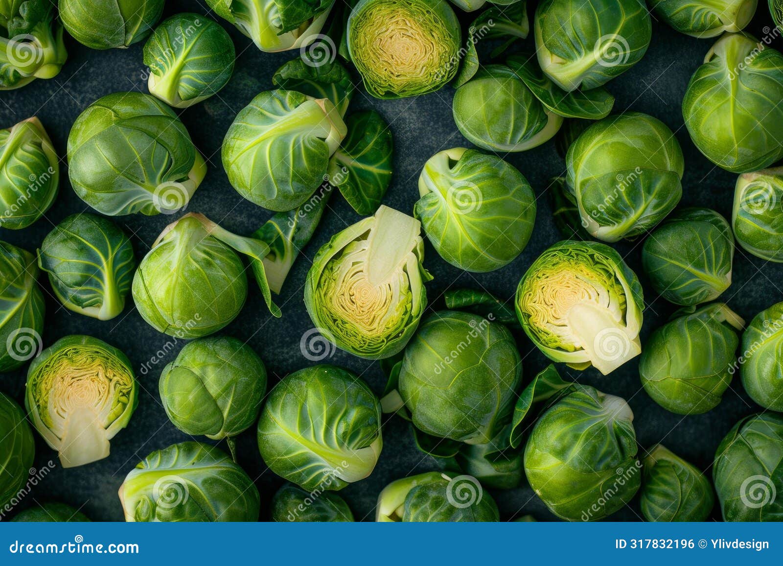 Fresh Brussels Sprouts Pattern on Dark Surface Stock Illustration ...
