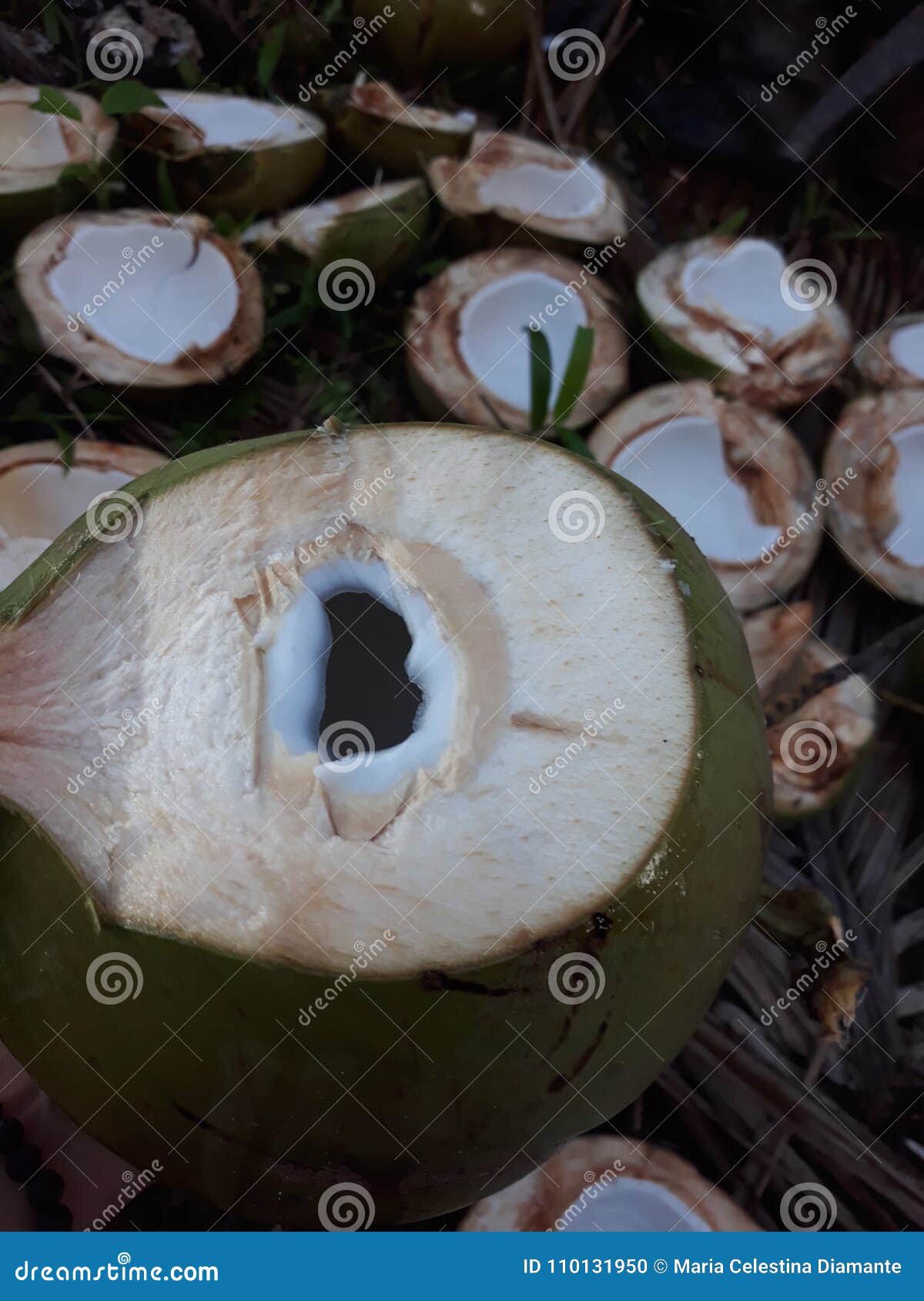 Fresh Buko stock photo. Image of coconut, coconutwater - 110131950