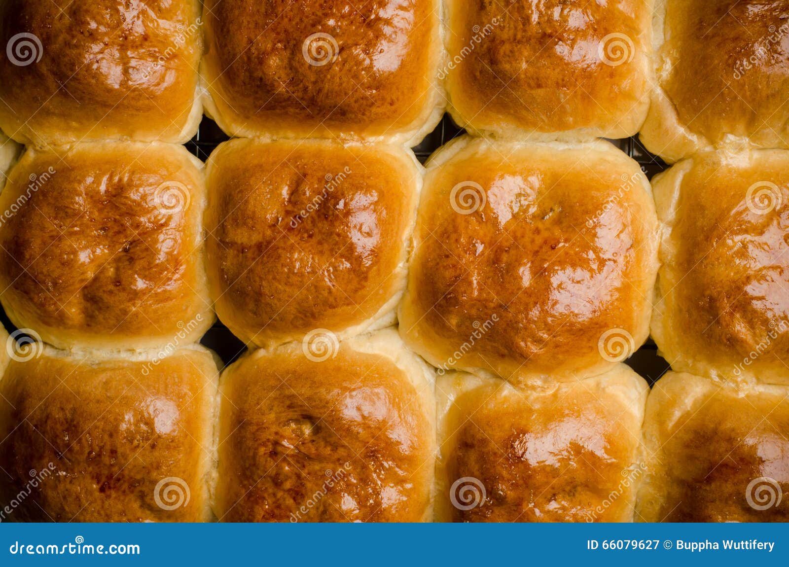 Fresh bun stock image. Image of bakery, sweet, texture - 66079627