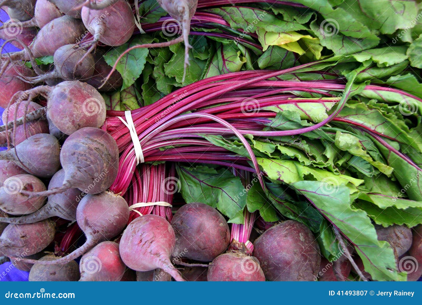 Fresh bunch of Beets stock image. Image of healthy, bunch - 41493807
