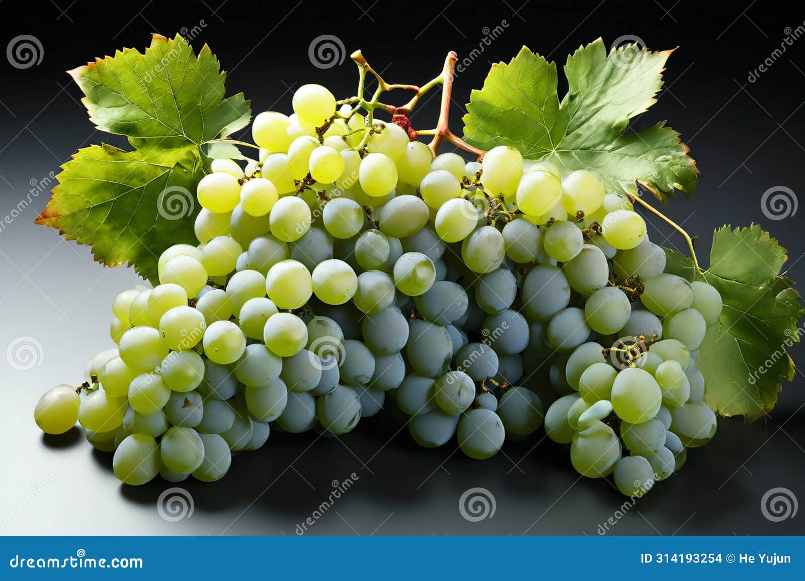 Fresh Bunch of Grapes with Leaves Isolated on a White Stock Photo ...