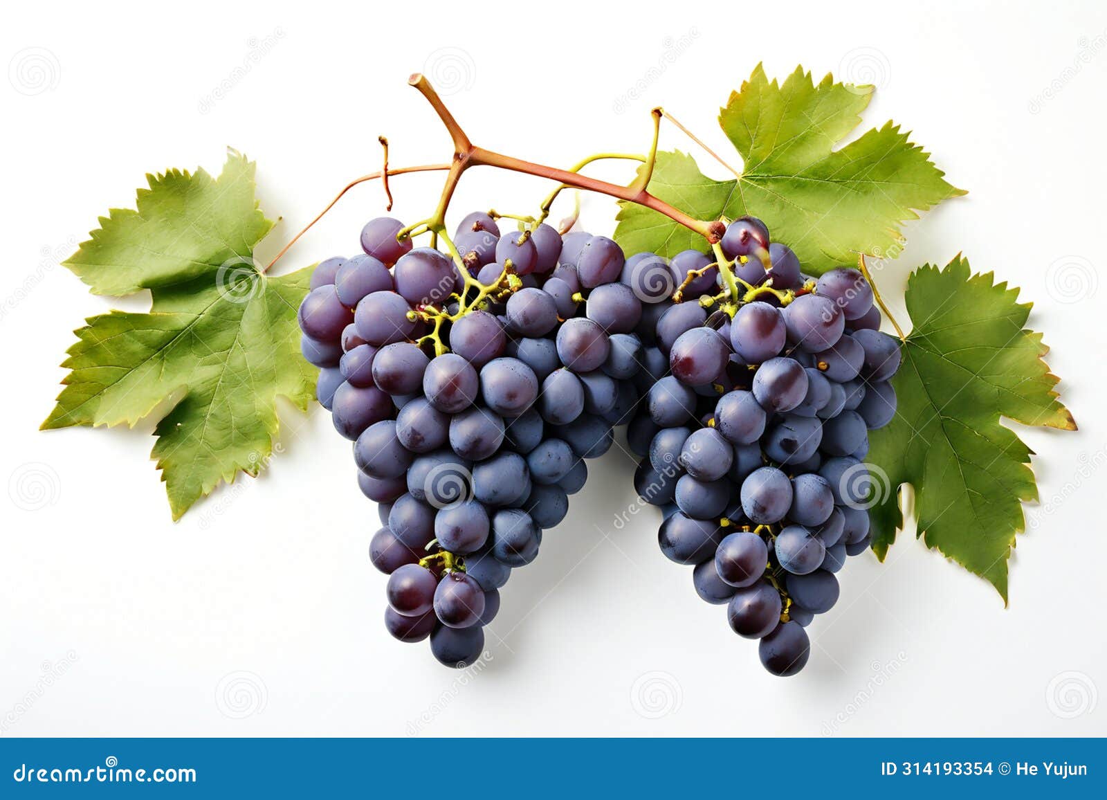 Fresh Bunch of Grapes with Leaves Isolated on a White Stock Photo ...