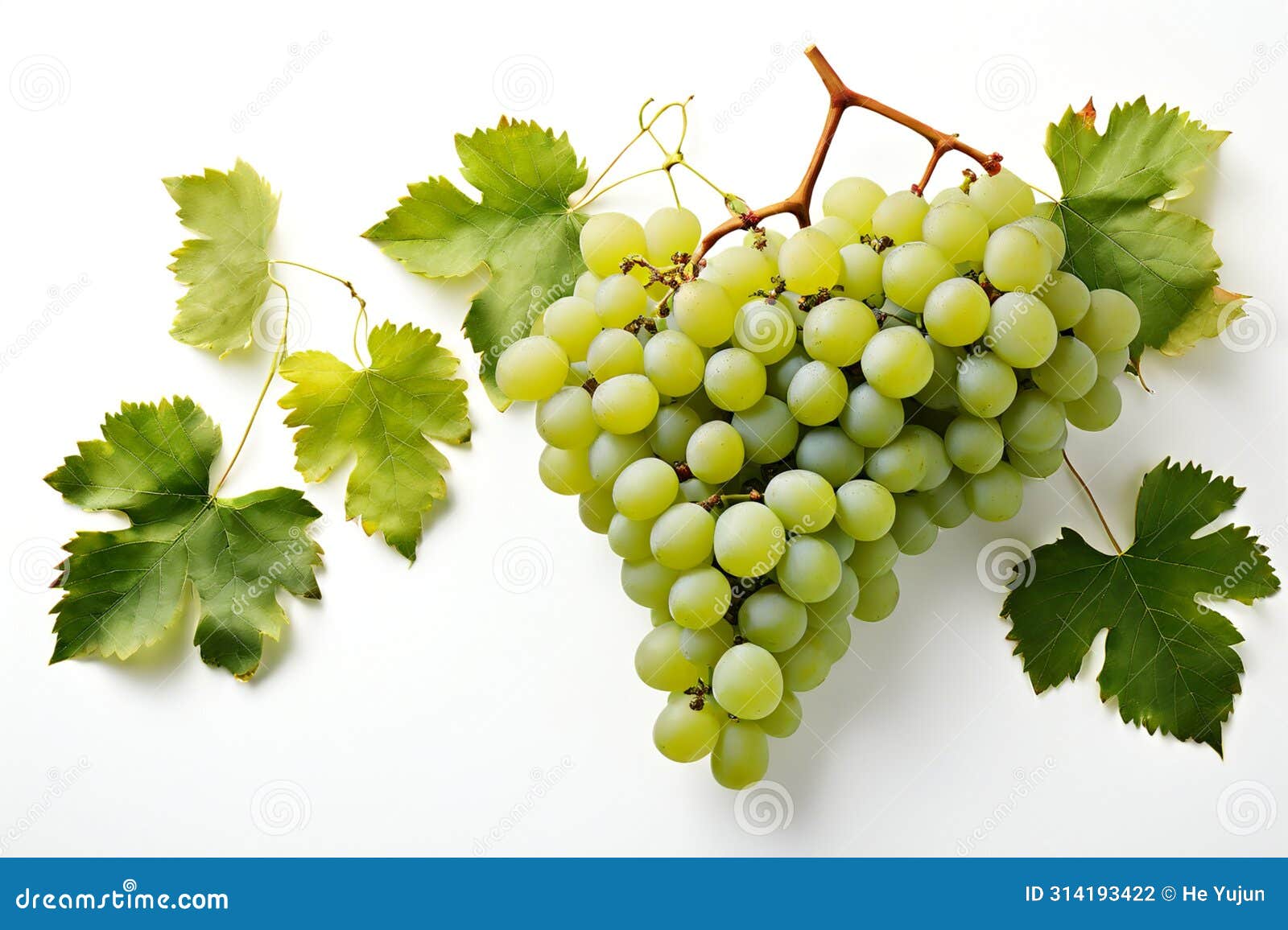 Fresh Bunch of Grapes with Leaves Isolated on a White Stock Photo ...