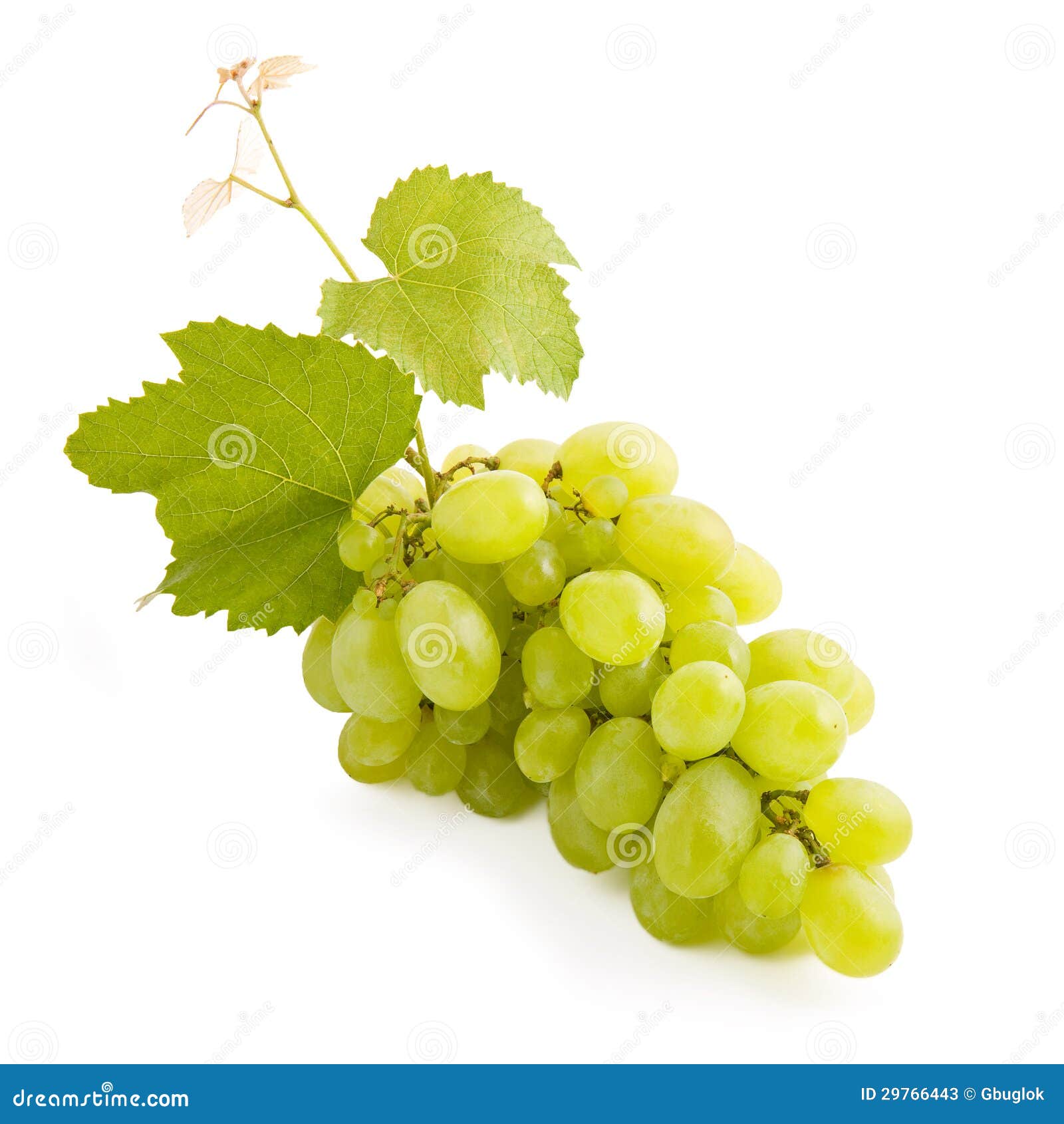 Bunch of grapes stock image. Image of white, fruit, green - 29766443