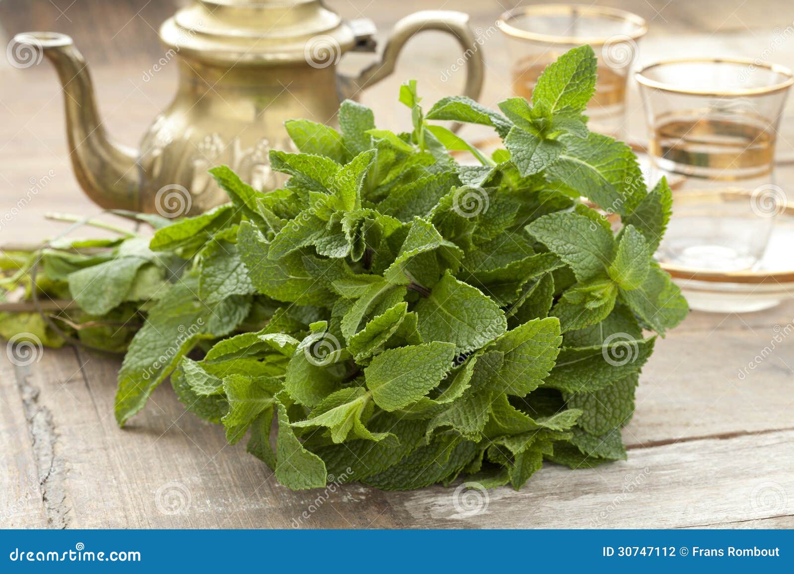 Fresh bunch of mint stock photo. Image of mint, teapot - 30747112