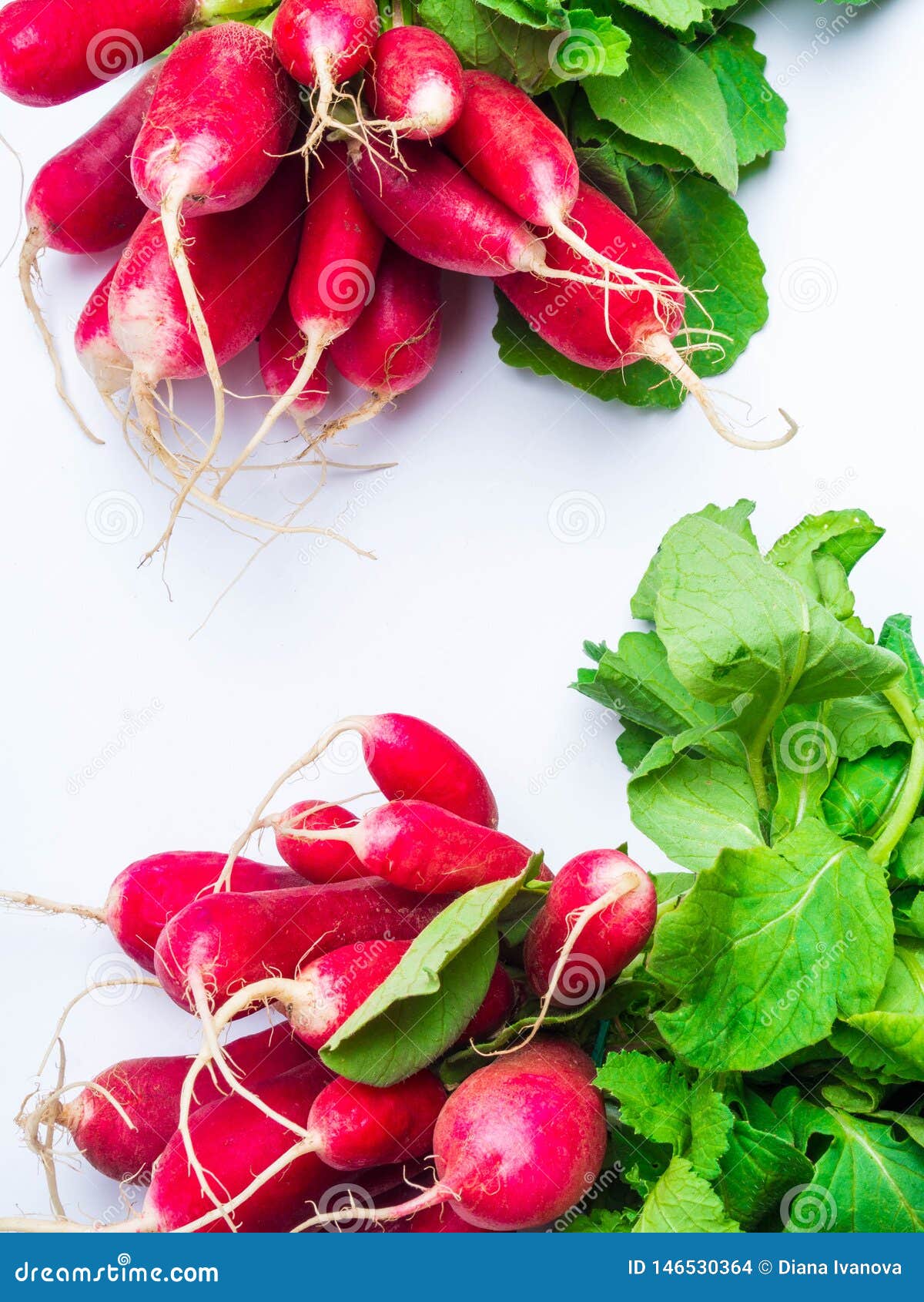 Fresh Red Radish Isolated on White Background Stock Photo - Image of ...