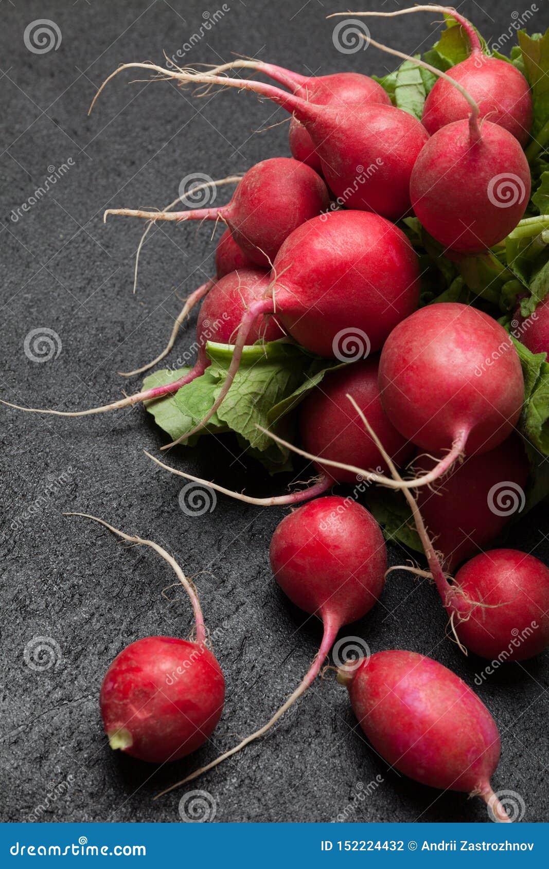Fresh Bunch Red Radish for Cooking Stock Photo - Image of green ...