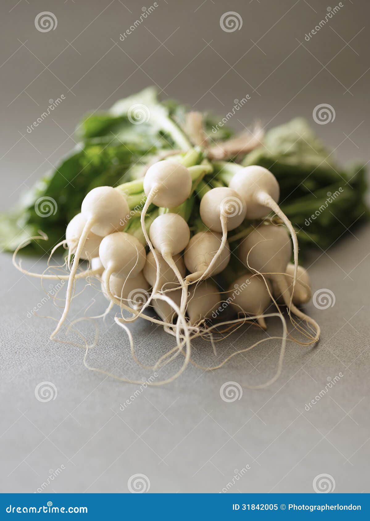 Fresh Bunch of Turnips stock image. Image of ripe, turnips - 31842005
