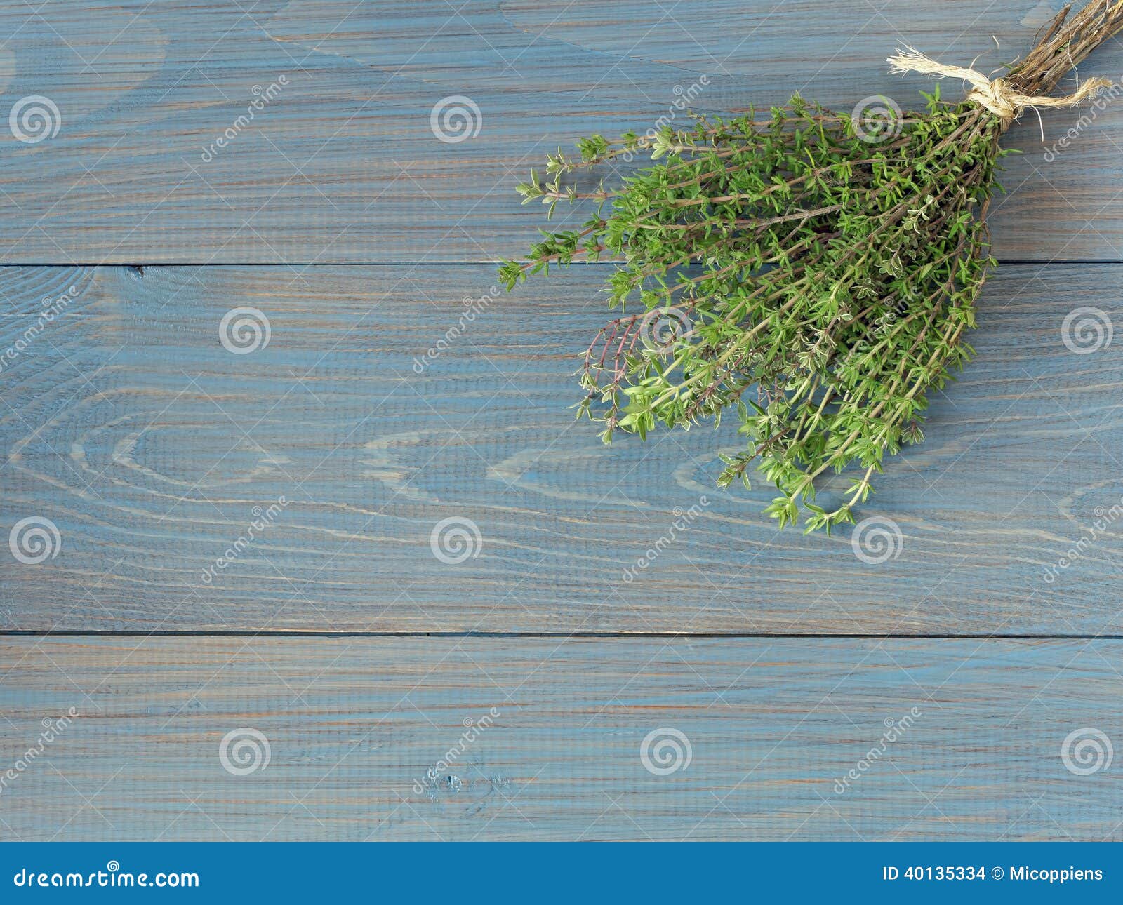 Fresh bundle of thyme stock photo. Image of leaf, healthy - 40135334