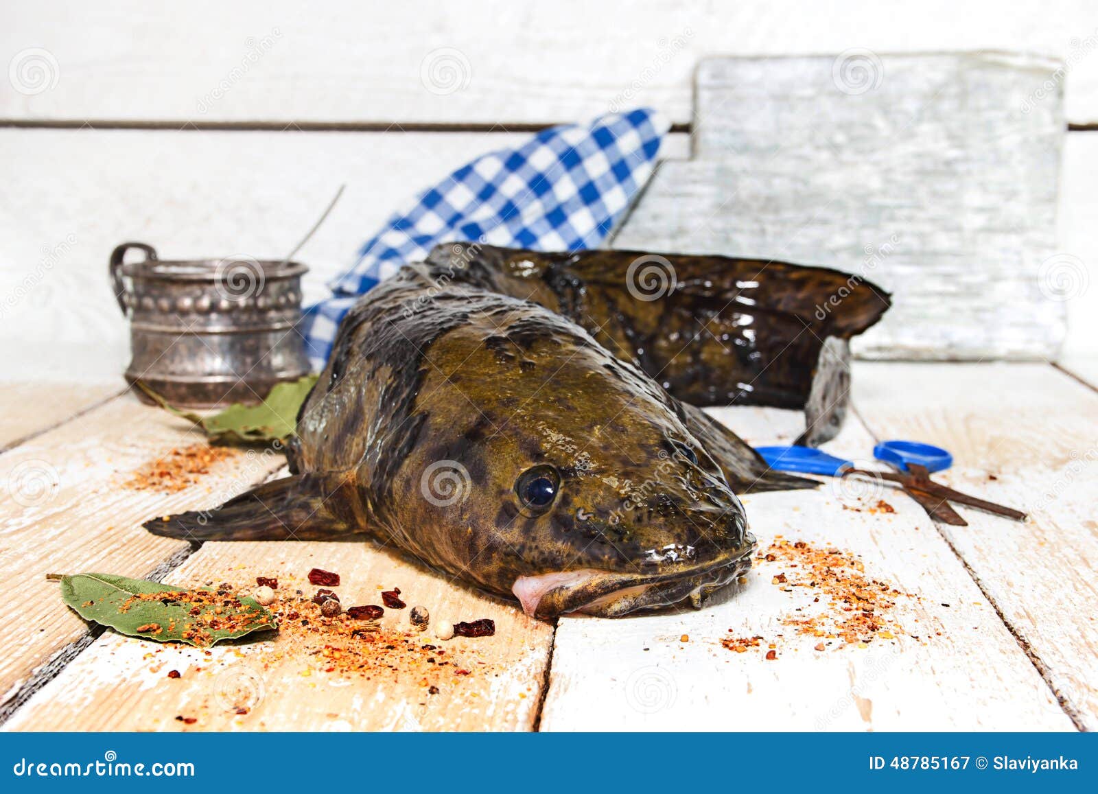 Fresh burbot stock image. Image of salt, preparation - 48785167