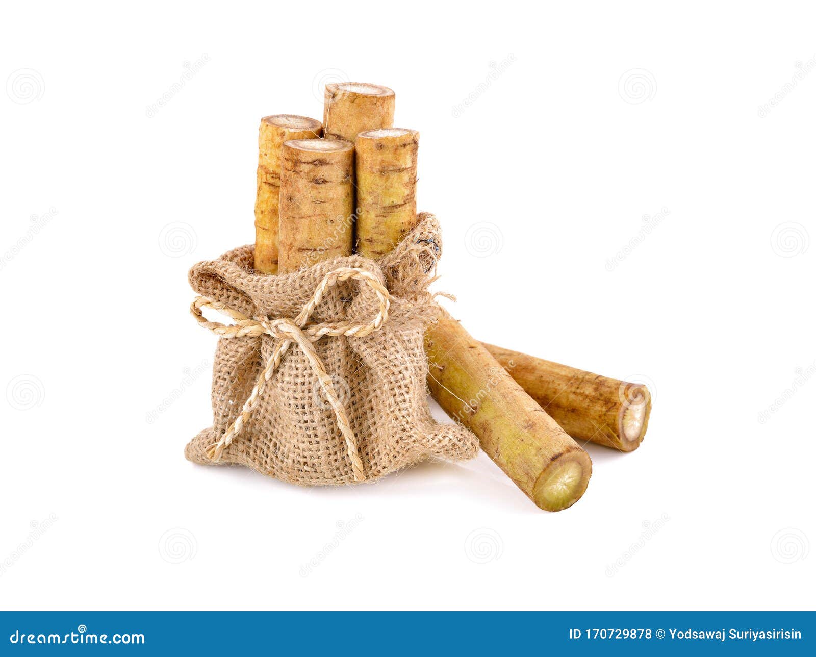 Fresh Burdock Root or Gobo in Sack and on White Background Stock Photo ...