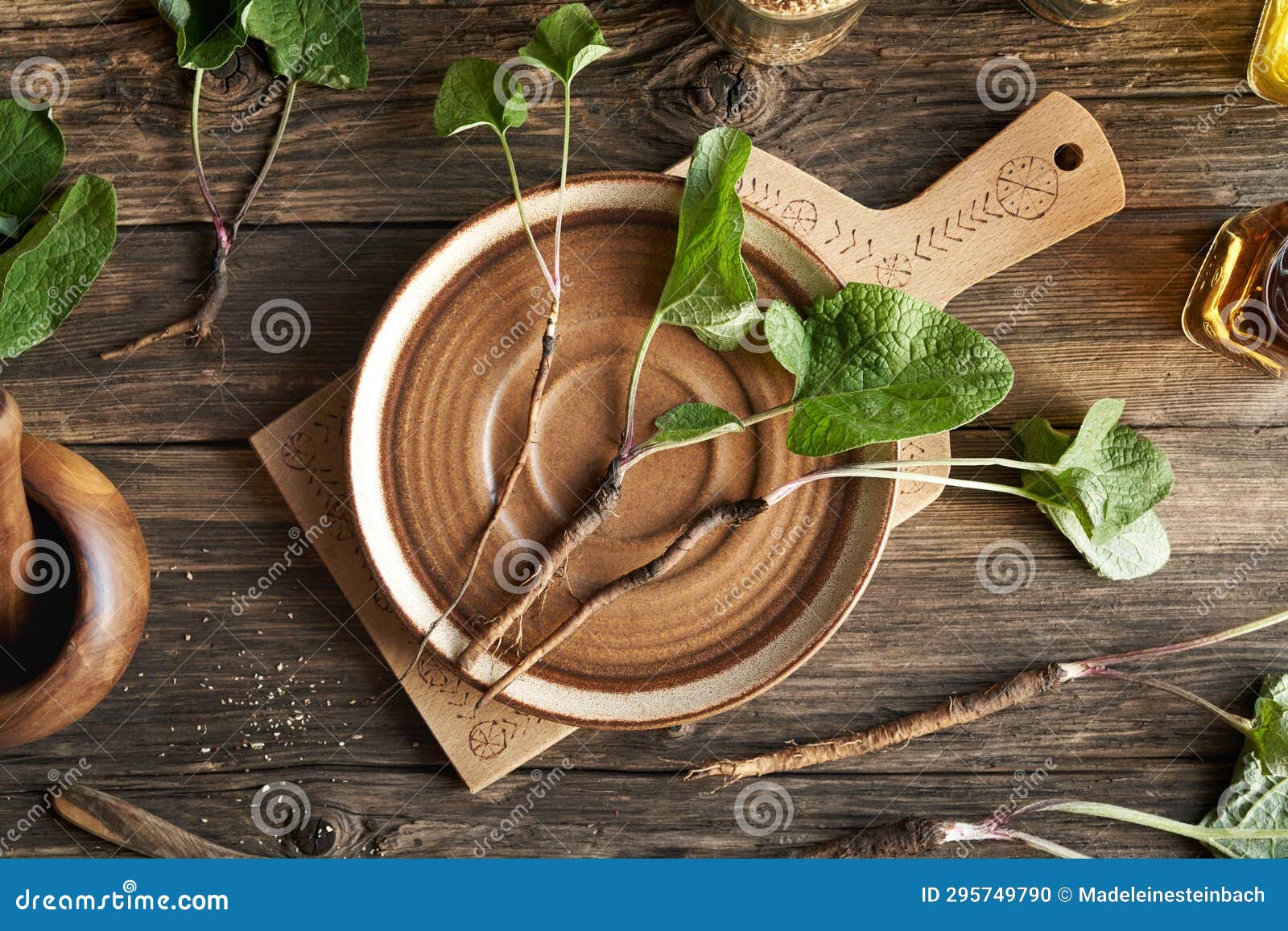 Fresh Burdock Root with Leaves on a Table Stock Photo - Image of health ...