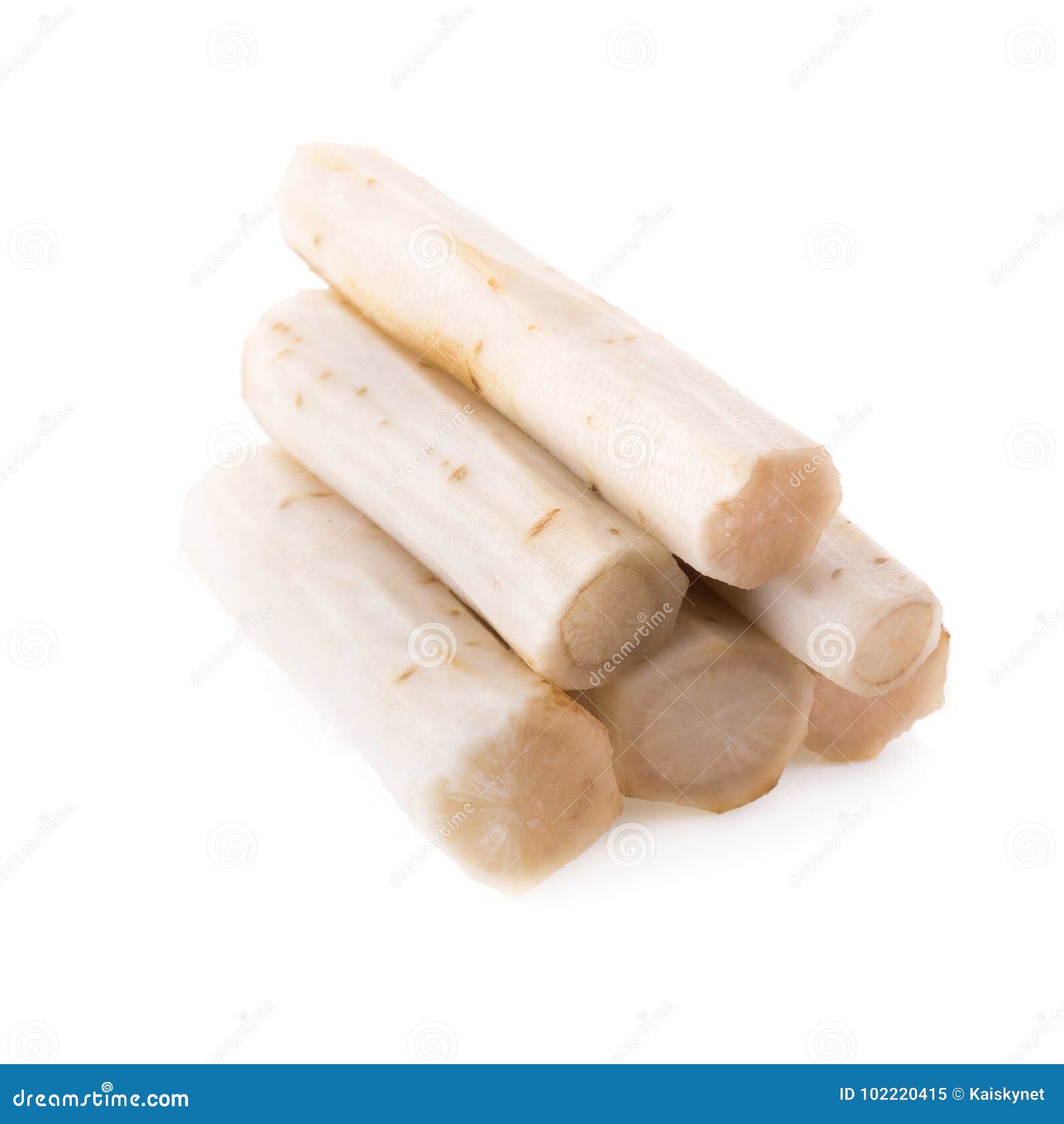 Fresh Burdock Roots Isolated on White Background Stock Image - Image of ...