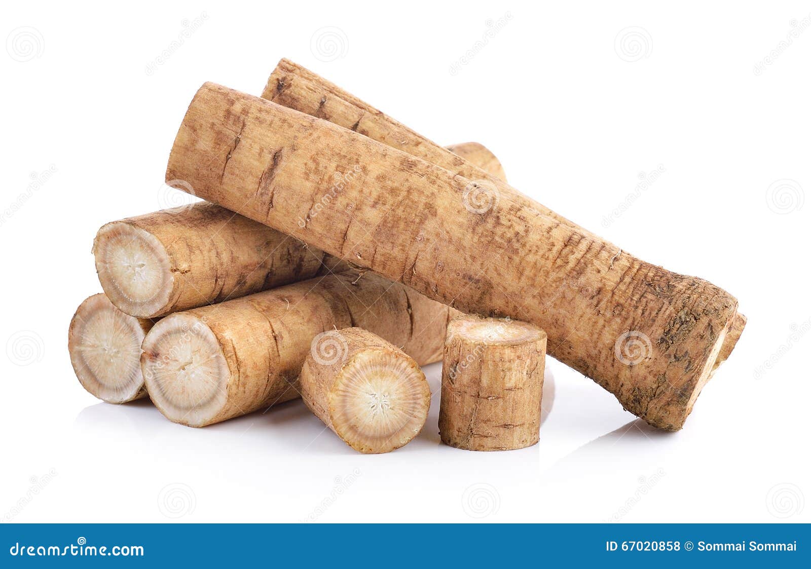 Fresh Burdock Roots on White Background Stock Photo - Image of close ...