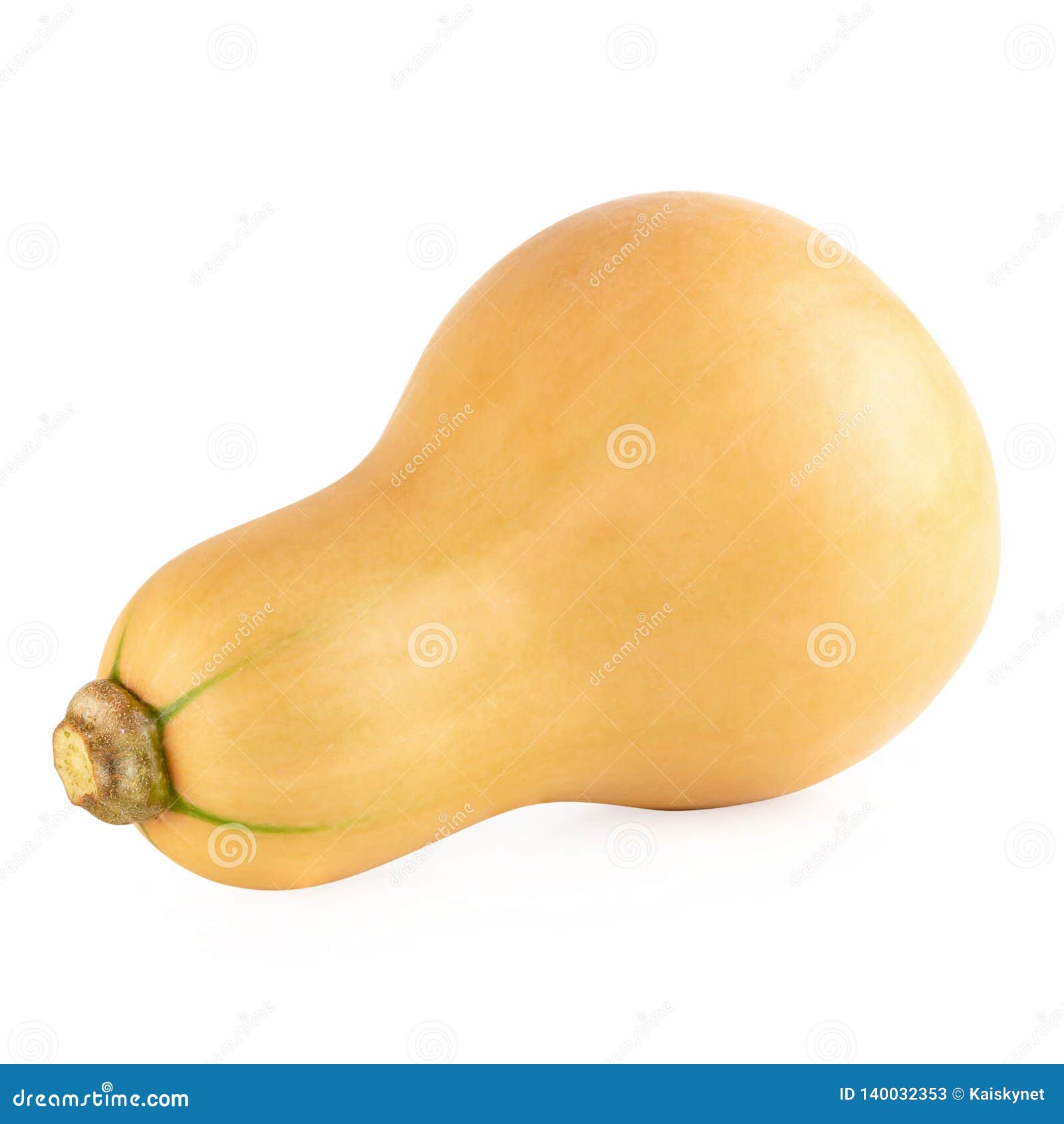 Fresh Butternut Isolated Over a White Background Stock Image - Image of ...