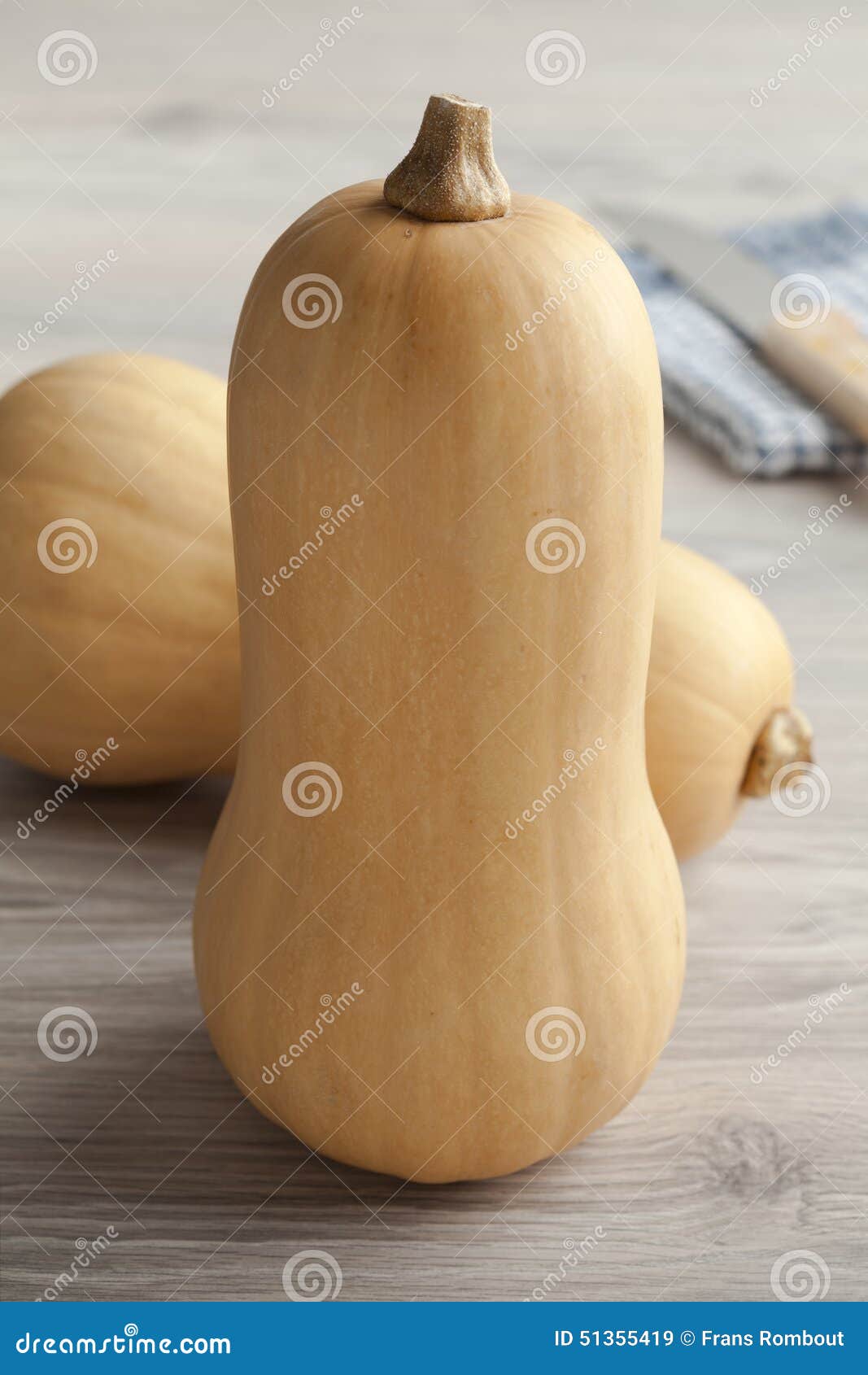 Fresh Butternut pumpkins stock image. Image of orange - 51355419