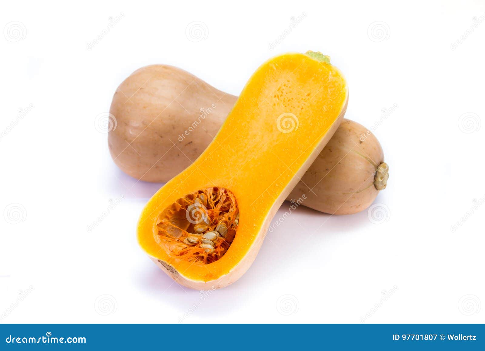 Fresh butternut squash stock image. Image of nutritious - 97701807