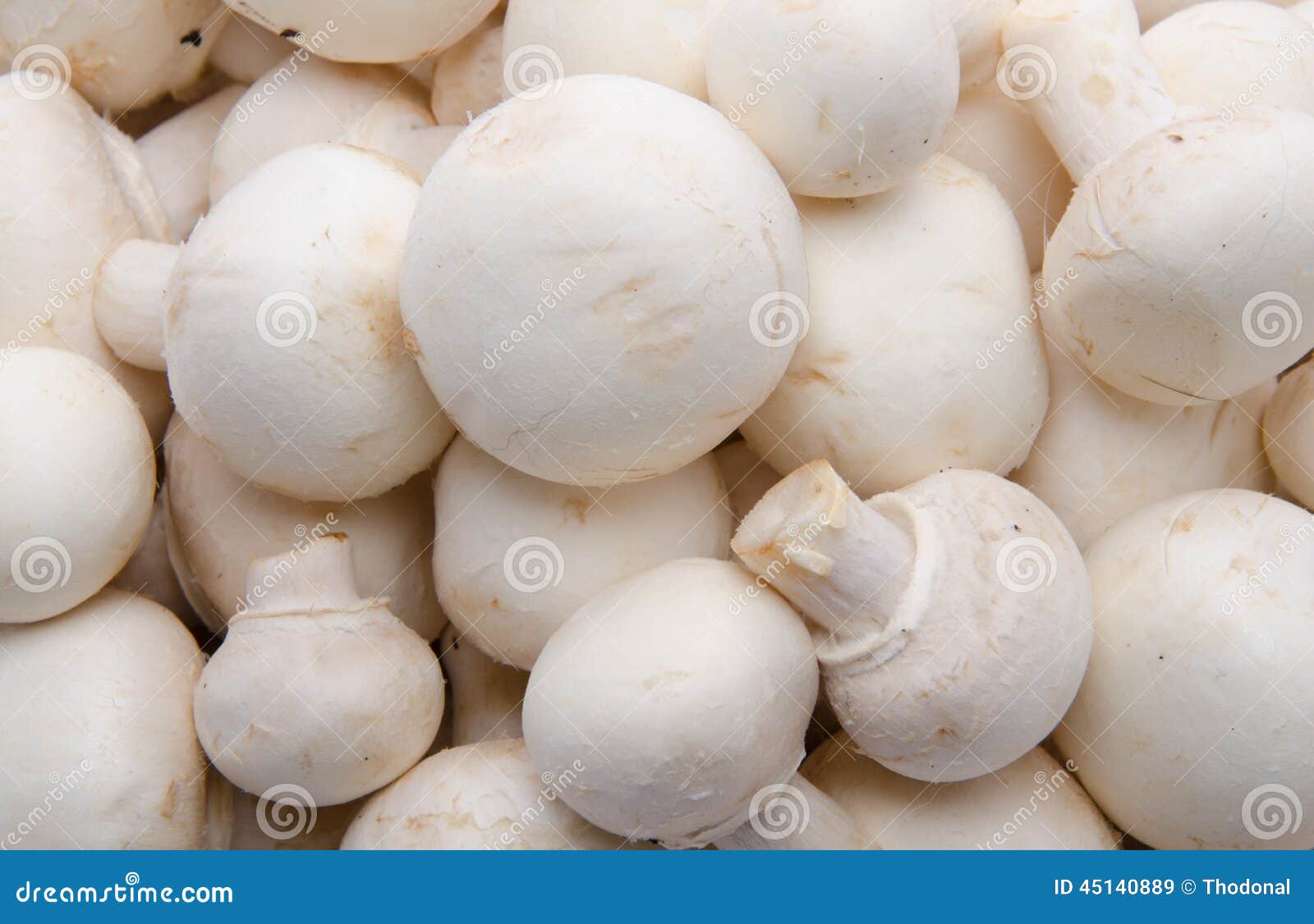 Fresh button mushrooms stock image. Image of fungi, eating - 45140889