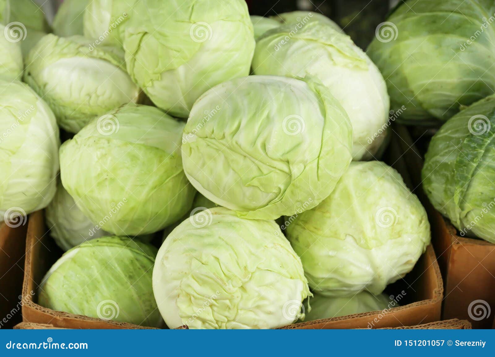 Fresh Cabbage in Cardboard Box at Market Stock Image - Image of cabbage ...
