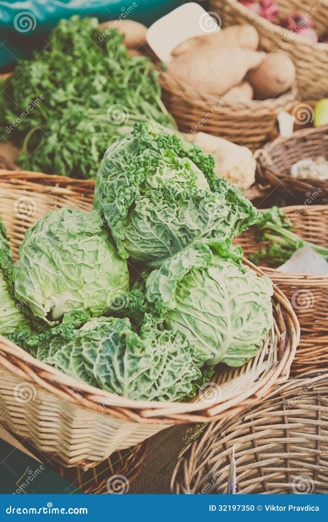 Fresh cabbage stock photo. Image of farmers, organic - 32197350