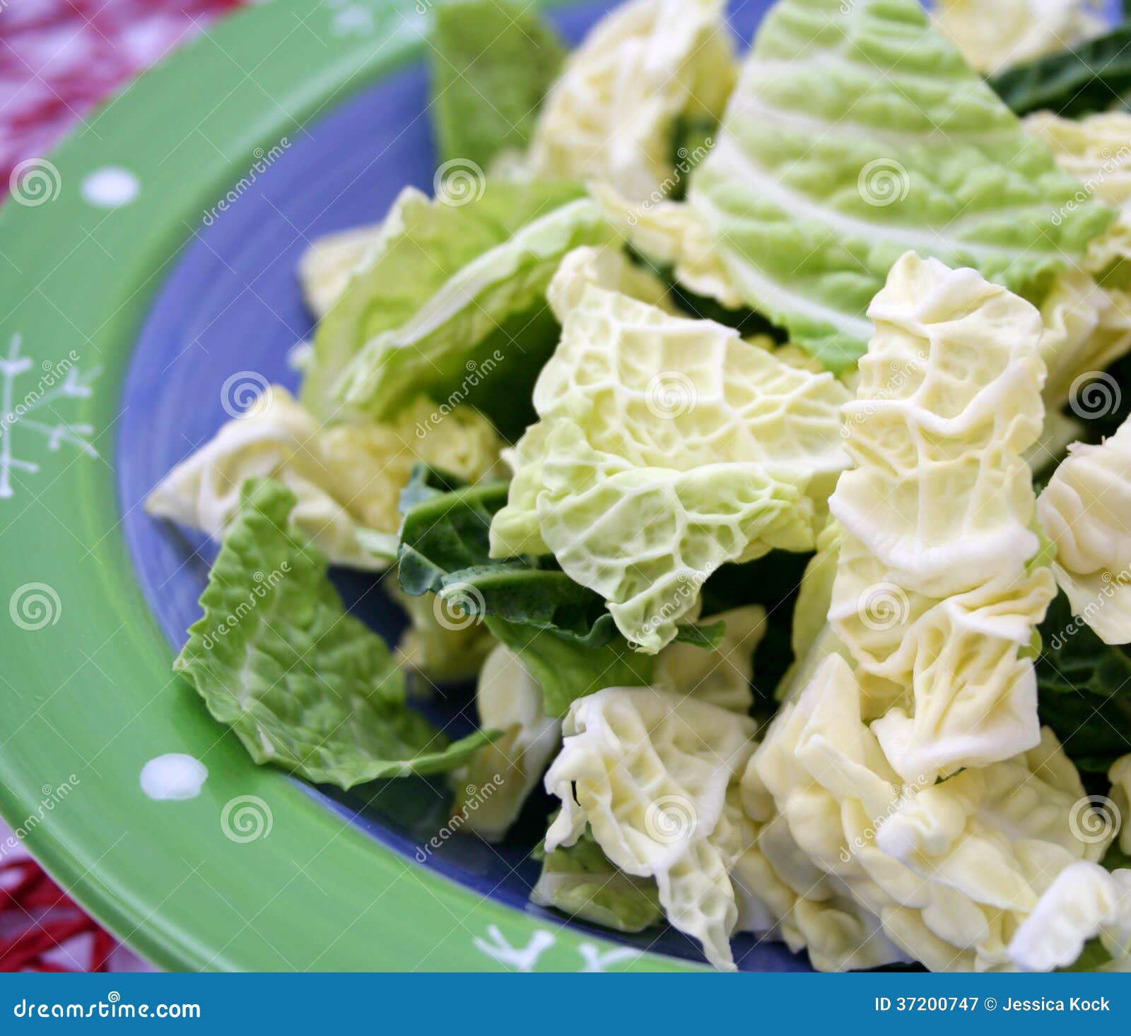Fresh cabbage stock image. Image of cuisine, vitamins - 37200747
