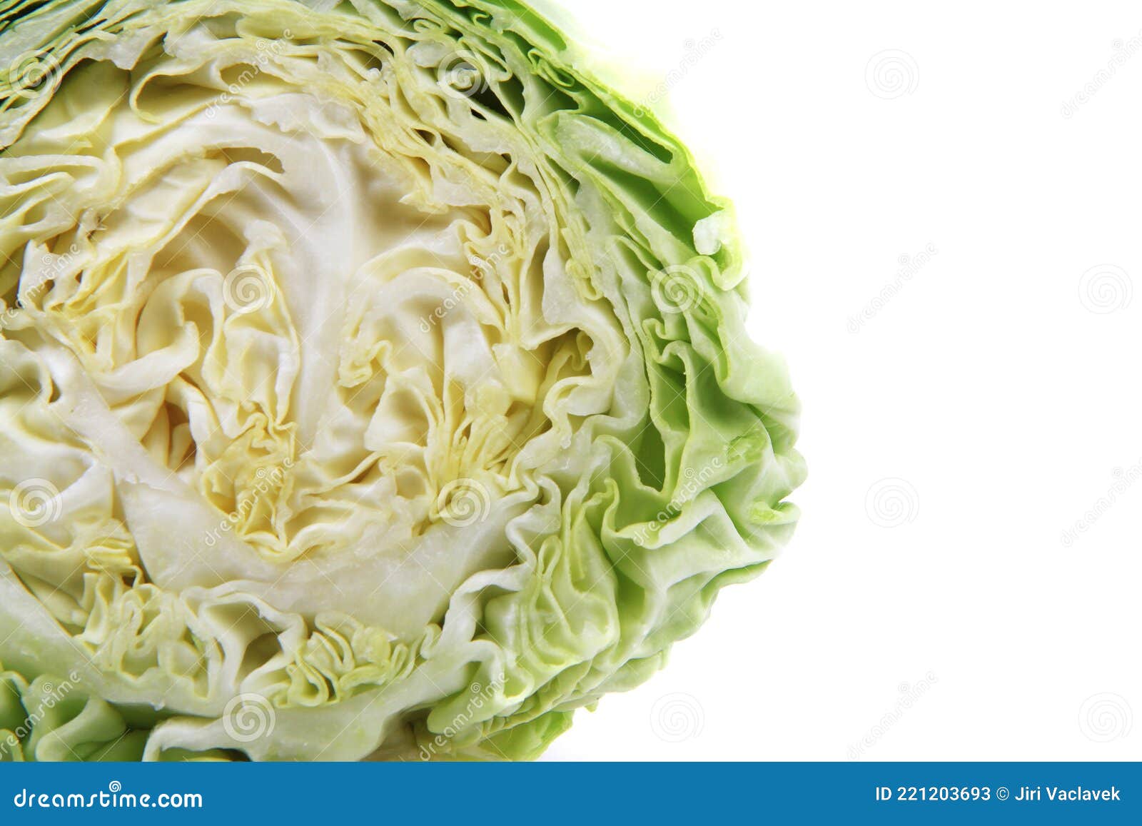 Fresh cabbage texture stock image. Image of leaves, diet - 221203693
