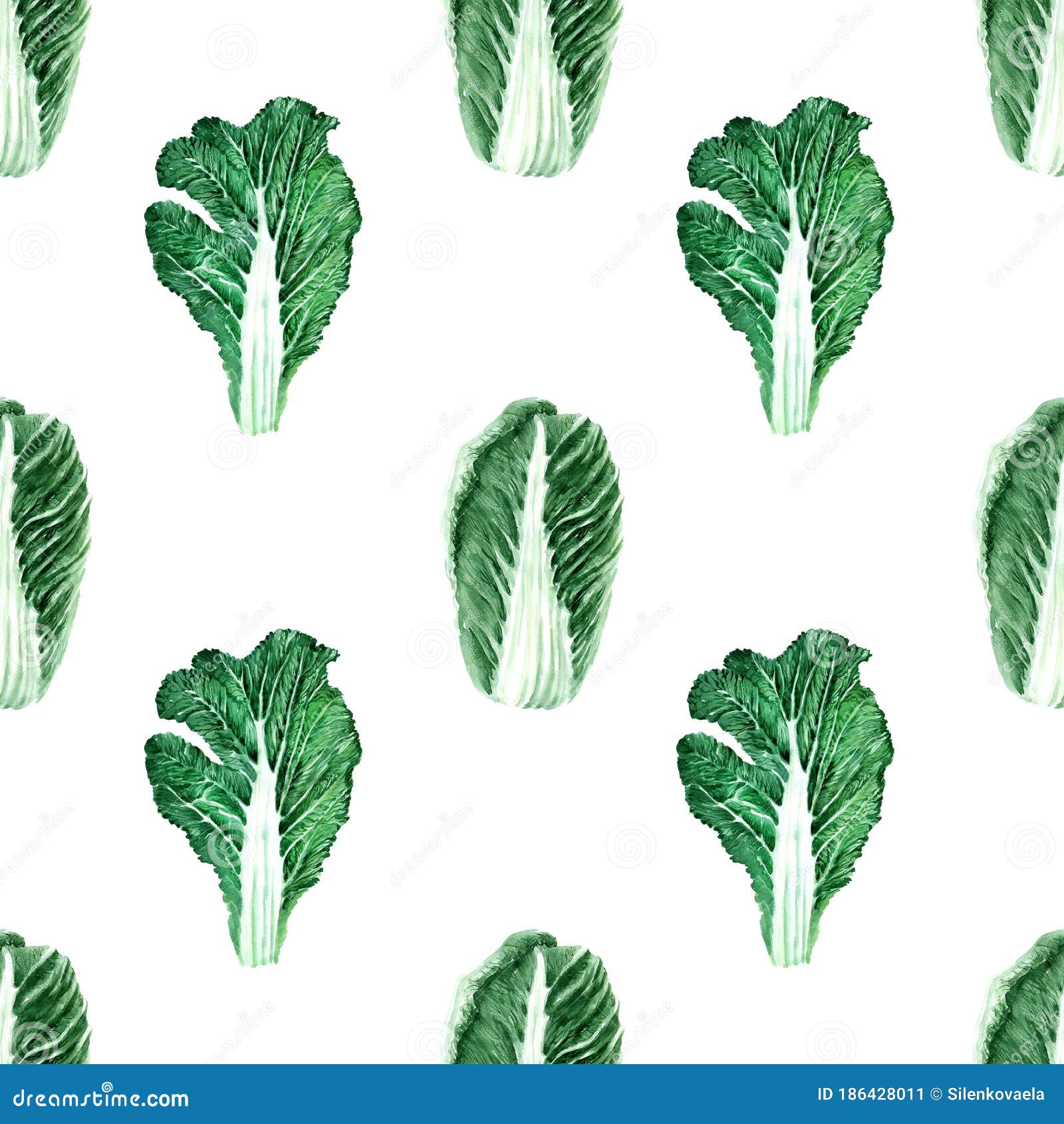 Watercolor Seamless Pattern with Images of Various Types of Cabbage ...