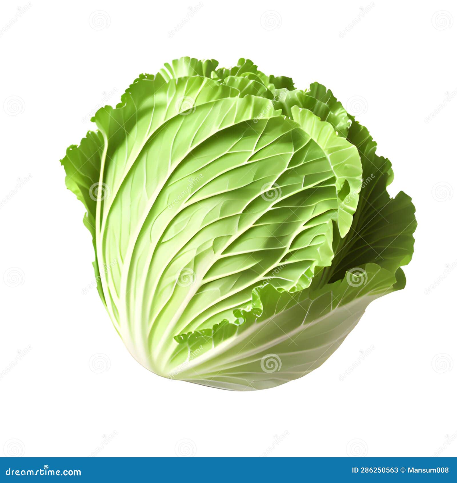 Fresh Cabbage on White Background, Ai Generated Stock Illustration ...