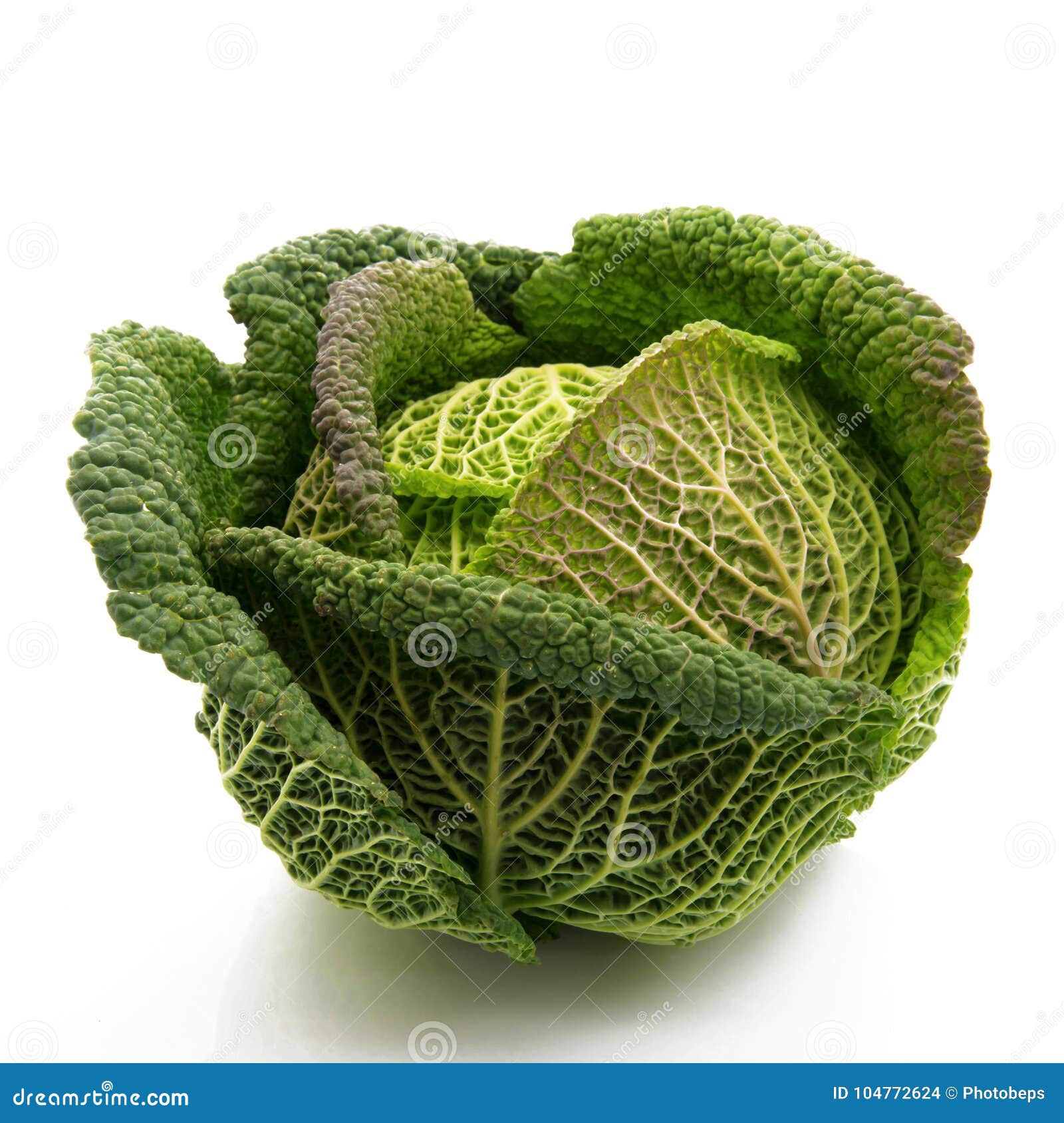 Fresh Cabbage on White Background Stock Photo - Image of food, organic ...
