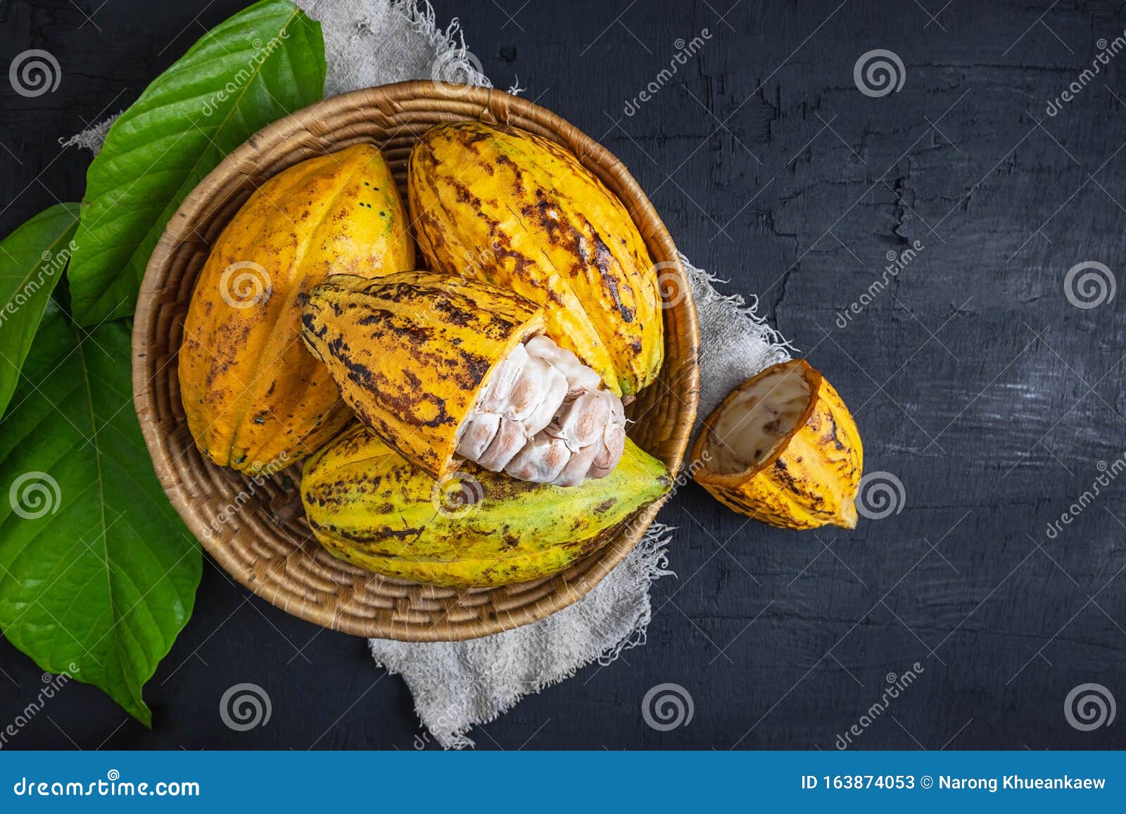 .Fresh Cacao Fruit in the Basket Stock Image - Image of natural ...