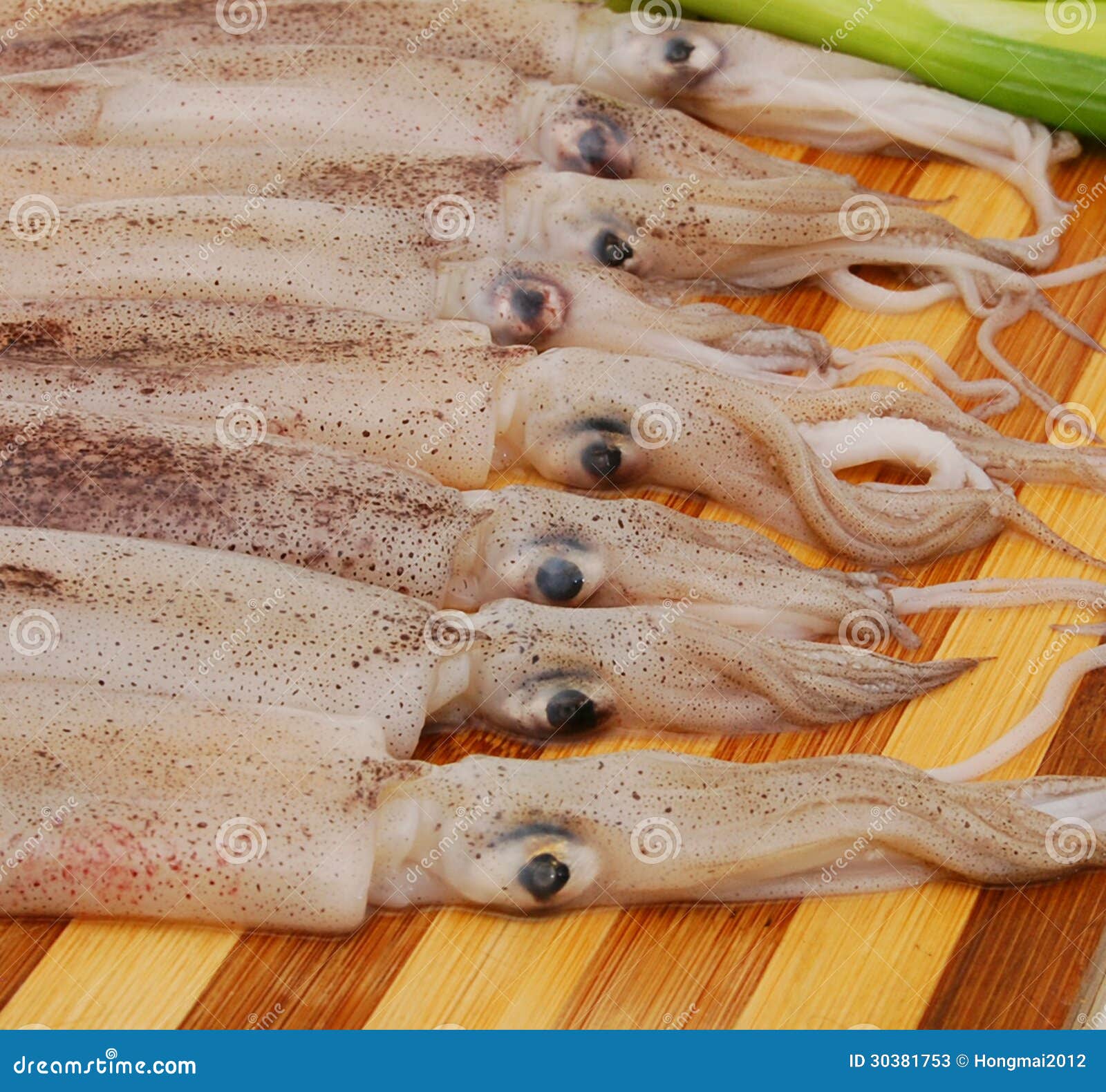 Fresh Calamari stock image. Image of mollusc, isolated - 30381753