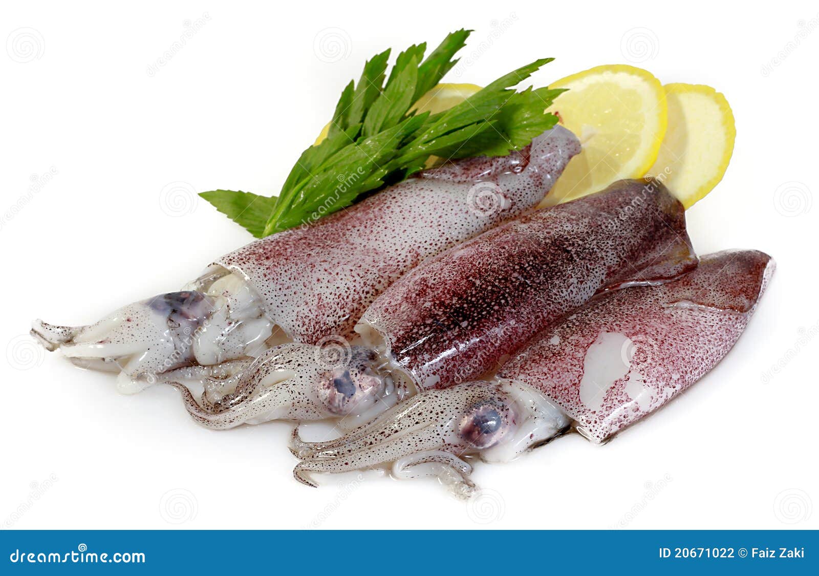 2,377 Calamari Fillet Stock Photos - Free & Royalty-Free Stock Photos ...