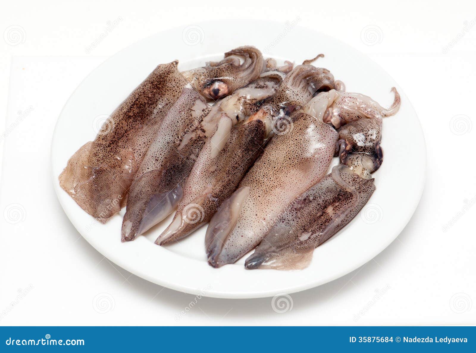 Fresh calamari stock photo. Image of plate, color, food - 35875684