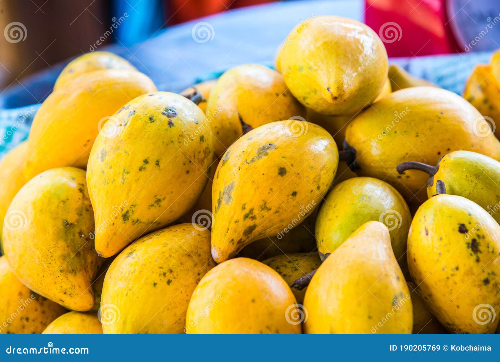 Fresh Canistel Fruits on Stall Stock Image - Image of nutrition, edible ...