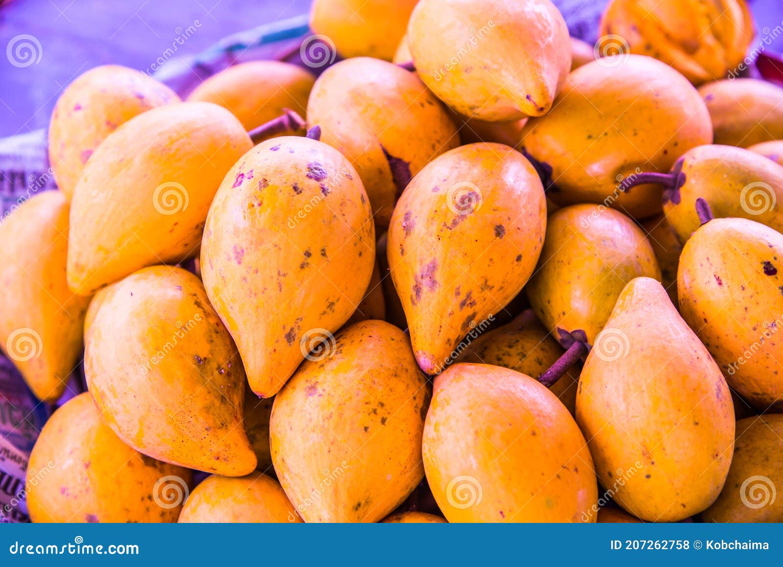 Fresh canistel fruits stock photo. Image of chesa, group - 207262758