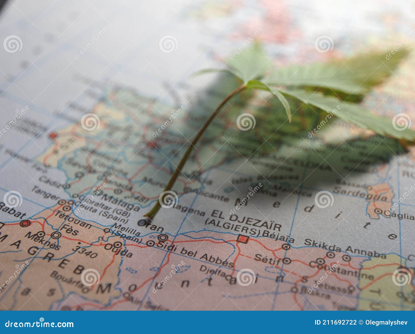 Fresh Cannabis Leaf on Map Europe Stock Photo - Image of cannabis ...