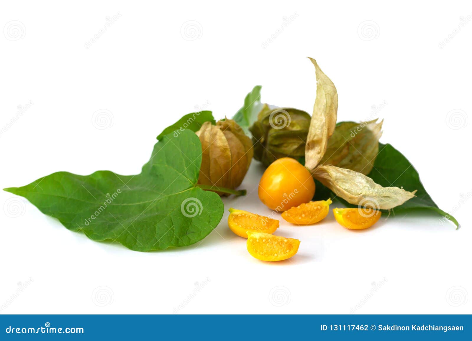 Fresh Cape Gooseberry Fruit Stock Photo - Image of sour, yellow: 131117462