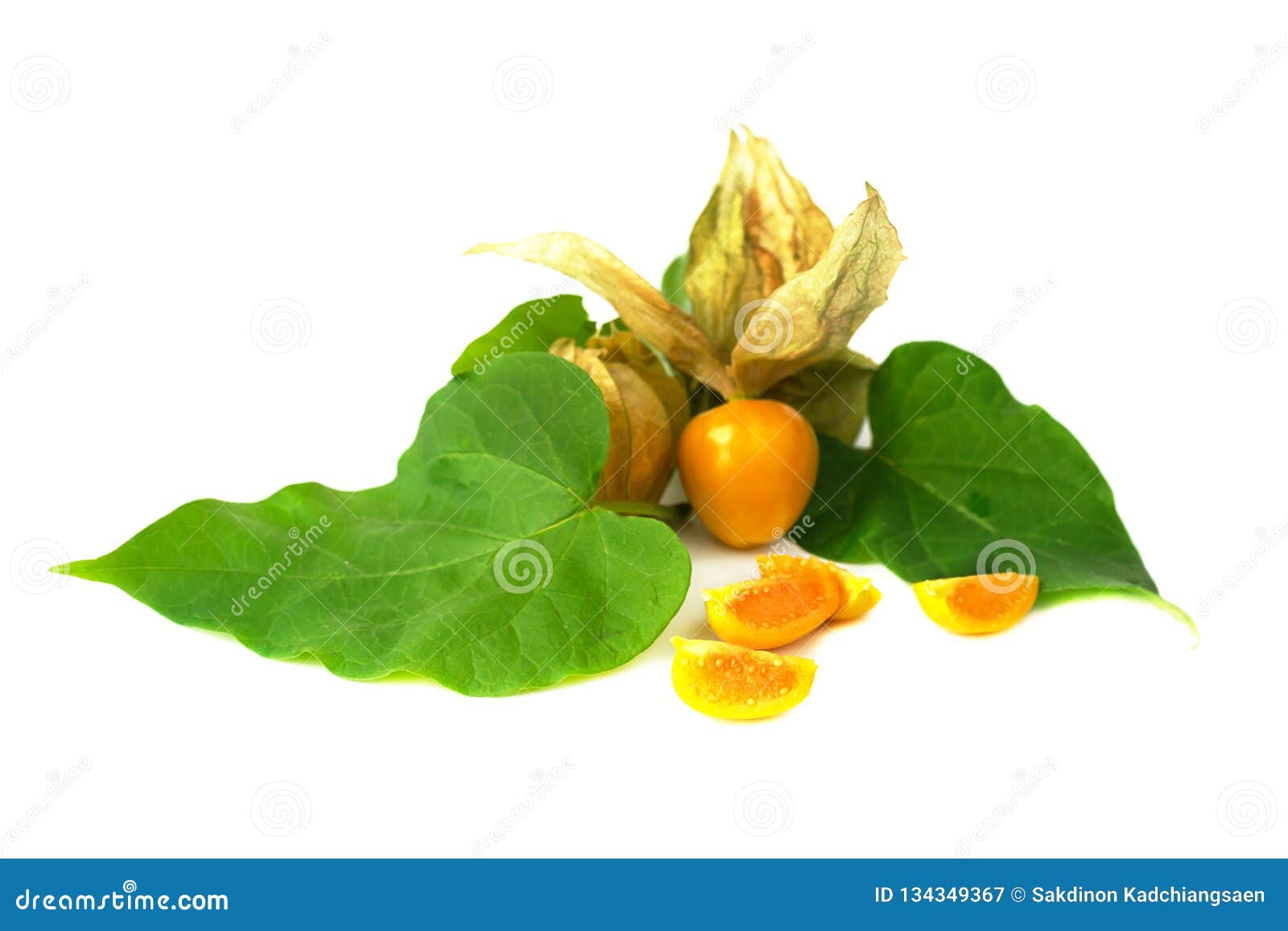 Fresh Cape Gooseberry Fruit Stock Image - Image of fruit, sour: 134349367