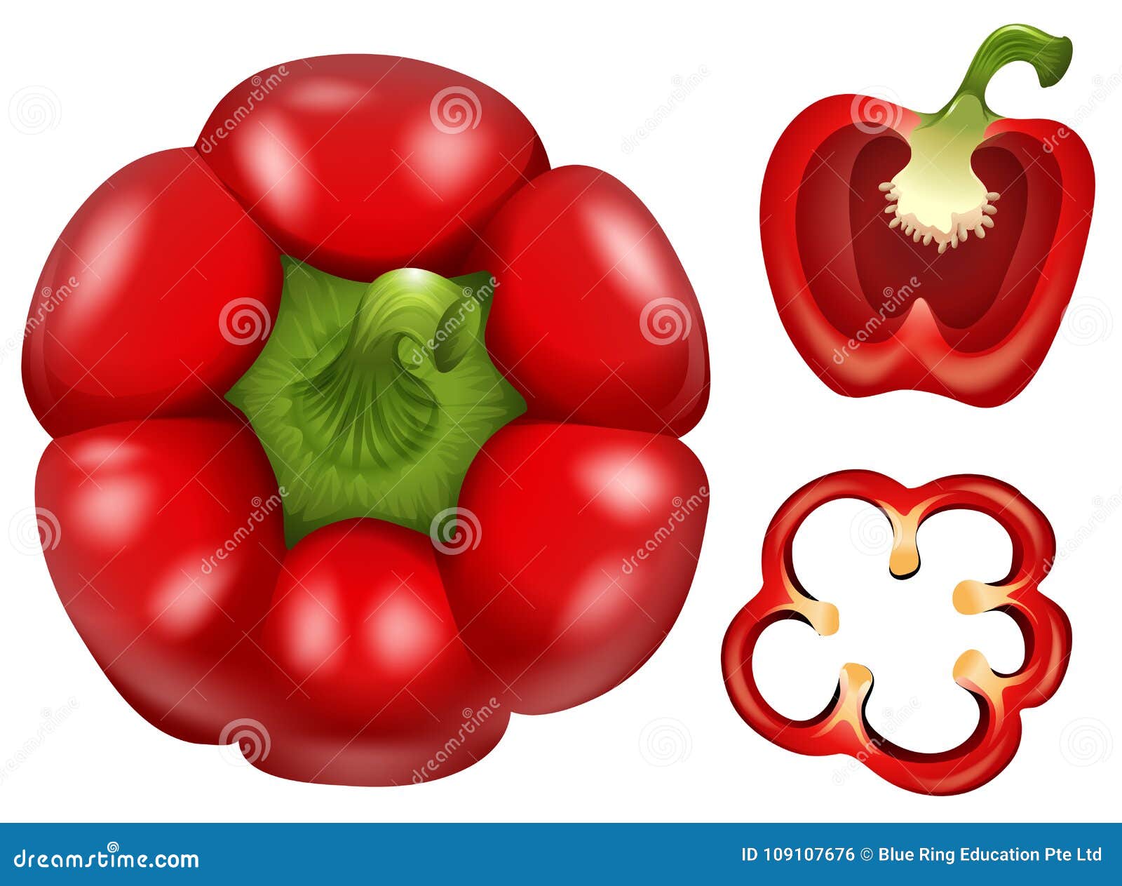 Fresh Capsicum with Different Cuts Stock Vector - Illustration of ...
