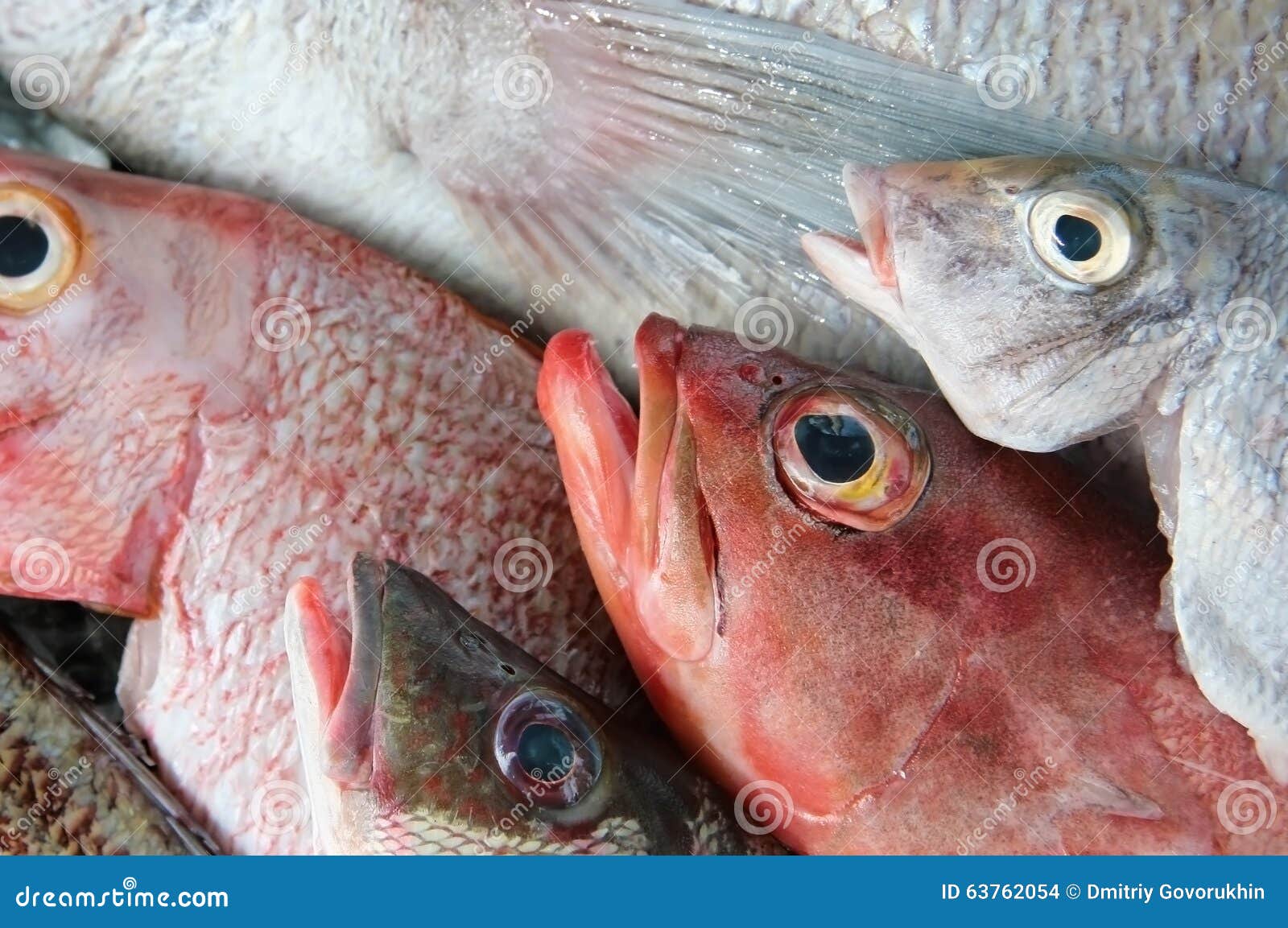 Fresh Carcasses of Marine Fish before Cooking Stock Photo - Image of ...