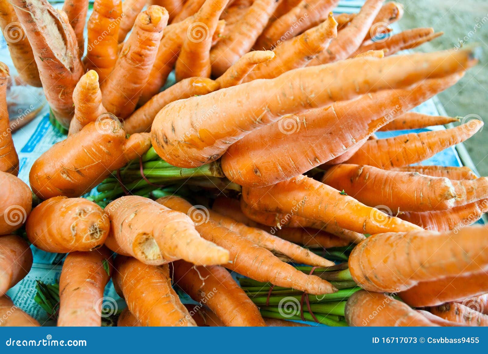 Fresh Carrot stock image. Image of food, fresh, colors - 16717073