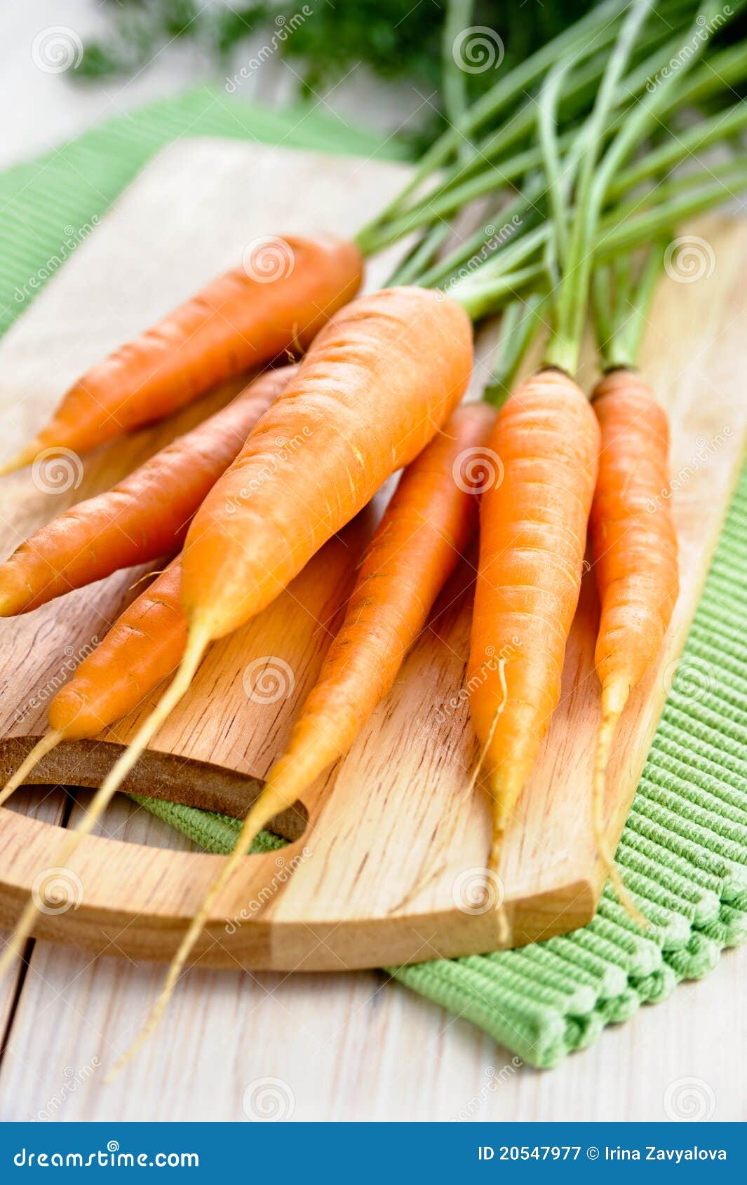 Fresh carrot stock image. Image of bunch, fresh, gather - 20547977