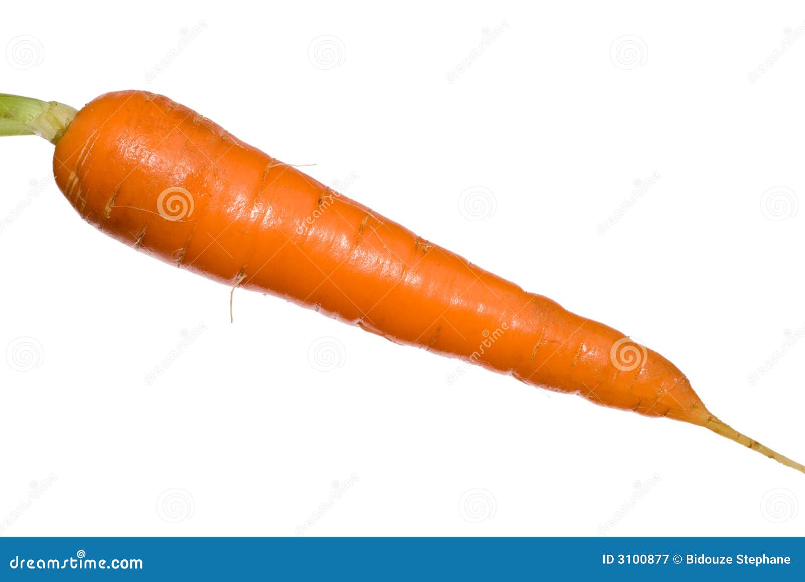 Single Carrot