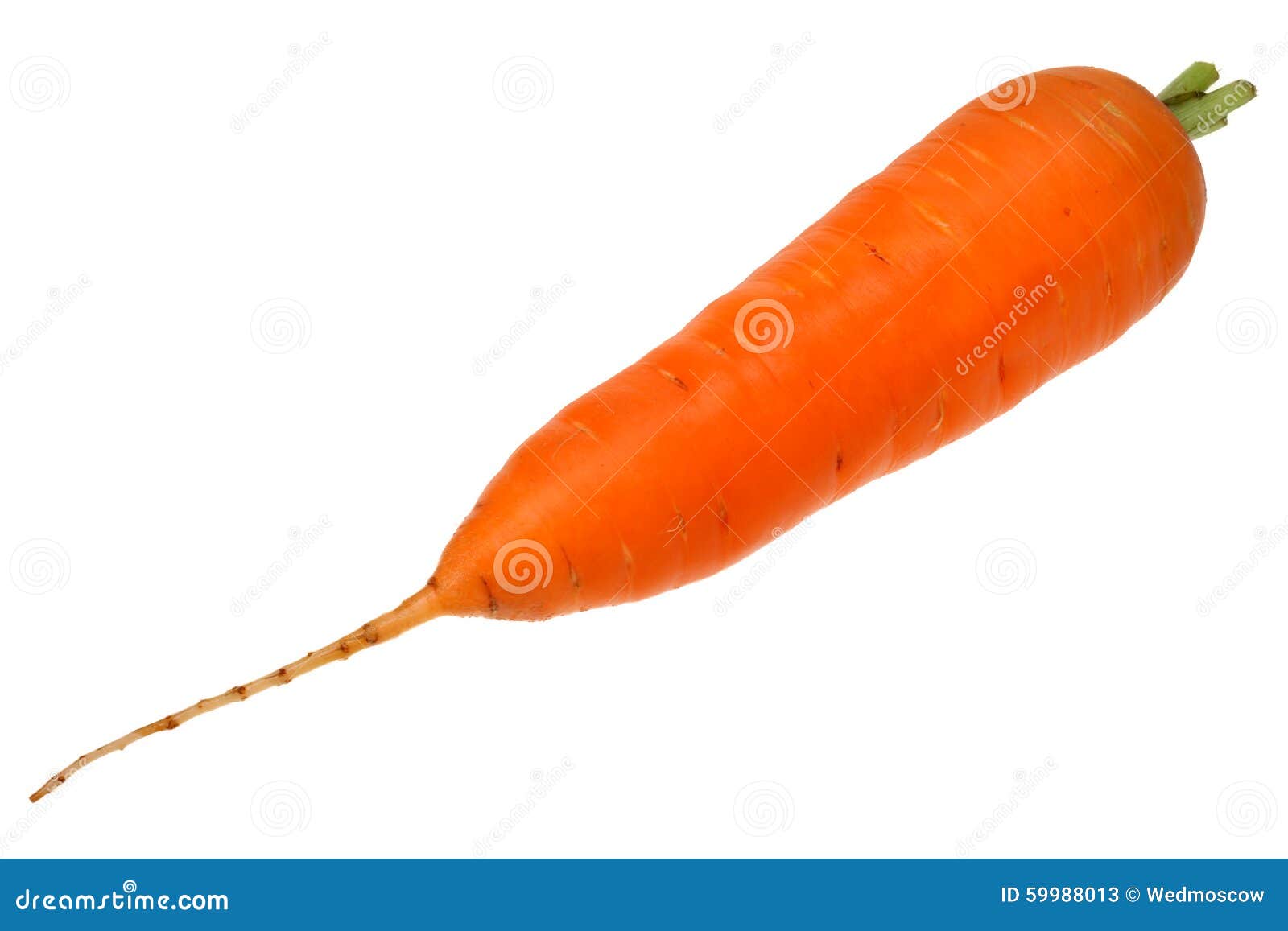 Fresh Carrot in Closeup Isolated on White with Clipping Path Stock ...