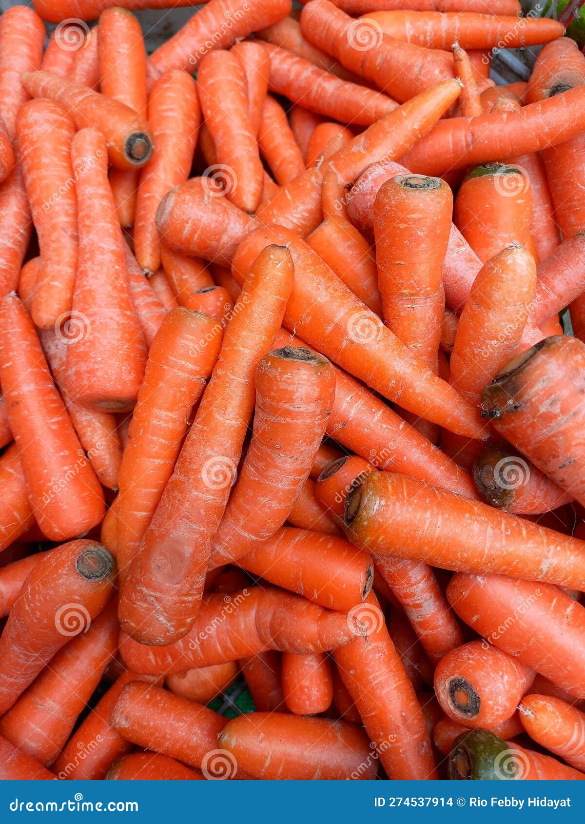 Fresh Carrot Fruit Texture Background Stock Photo - Image of fruit ...