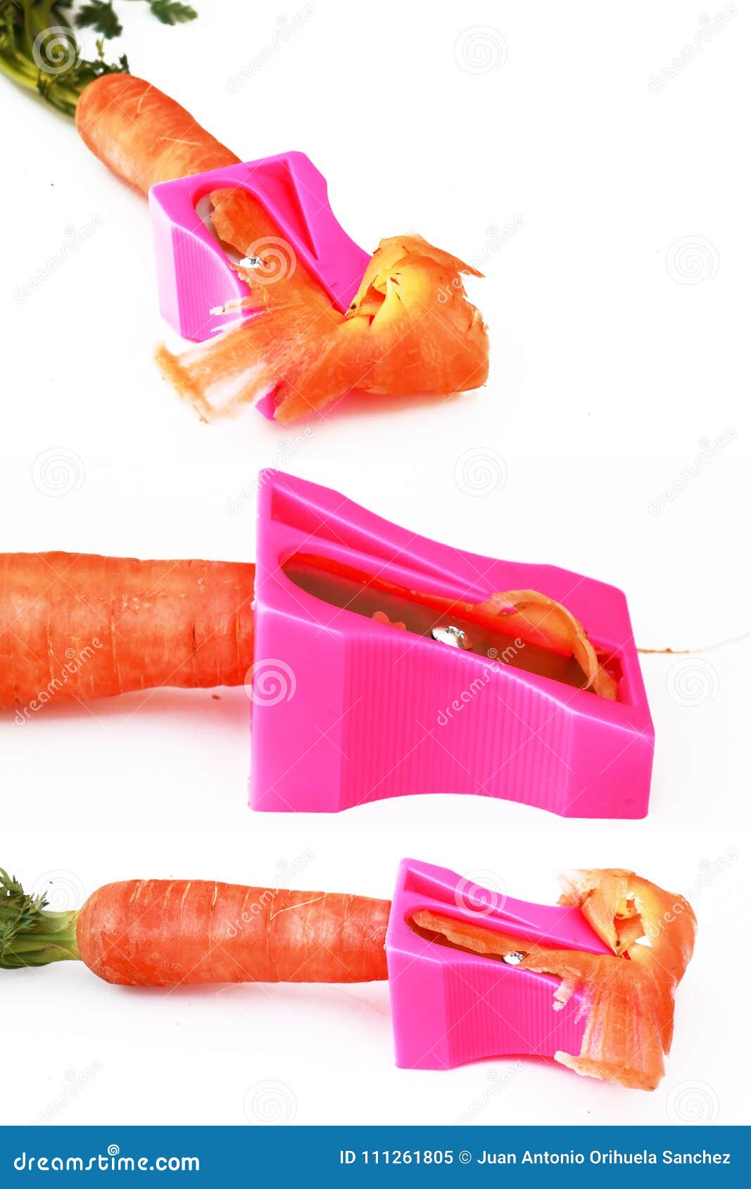 Sharpening Tip To a Carrot with a Pencil Sharpener Stock Image - Image ...