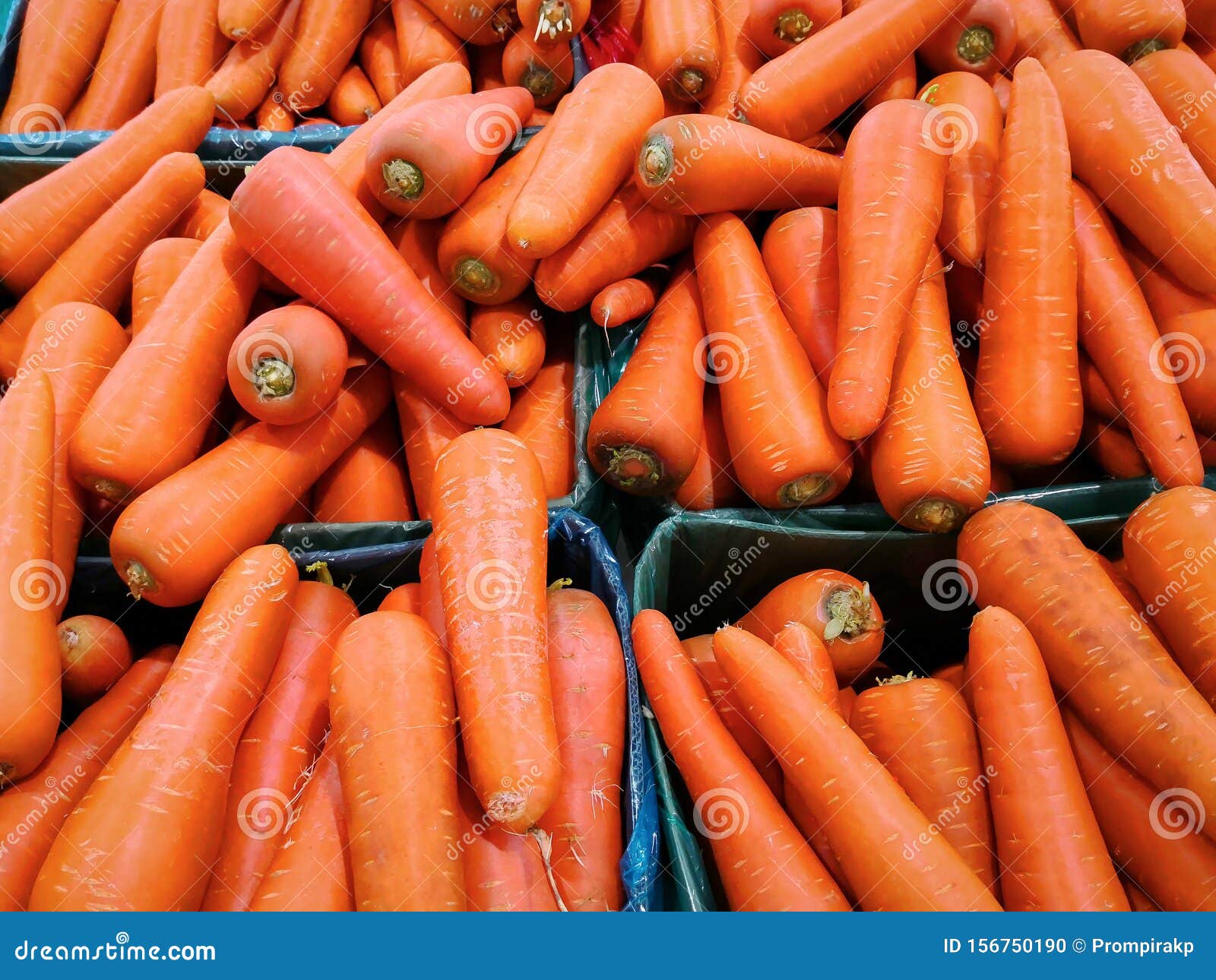 Fresh Carrot in the Storage Box at Fresh Market Stock Photo - Image of ...