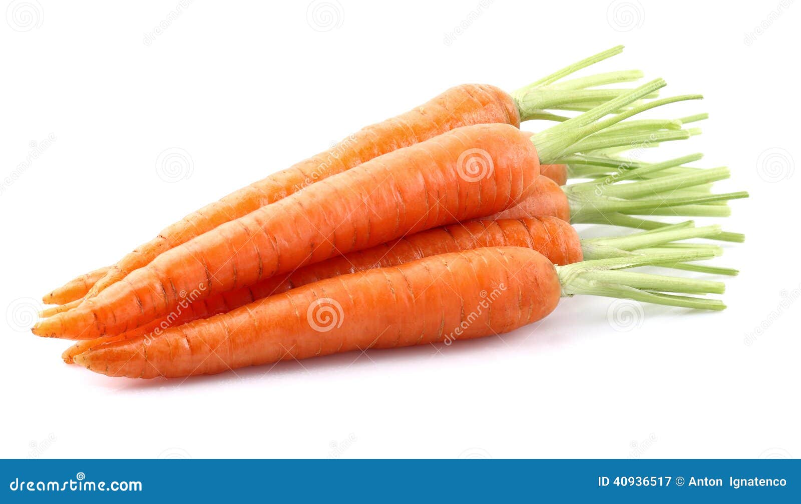 Fresh carrot stock image. Image of clean, carrot, green - 40936517