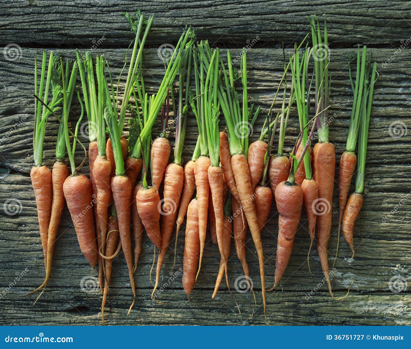 Fresh Carrot on Wood Texture Stock Image - Image of ripe, orange: 36751727