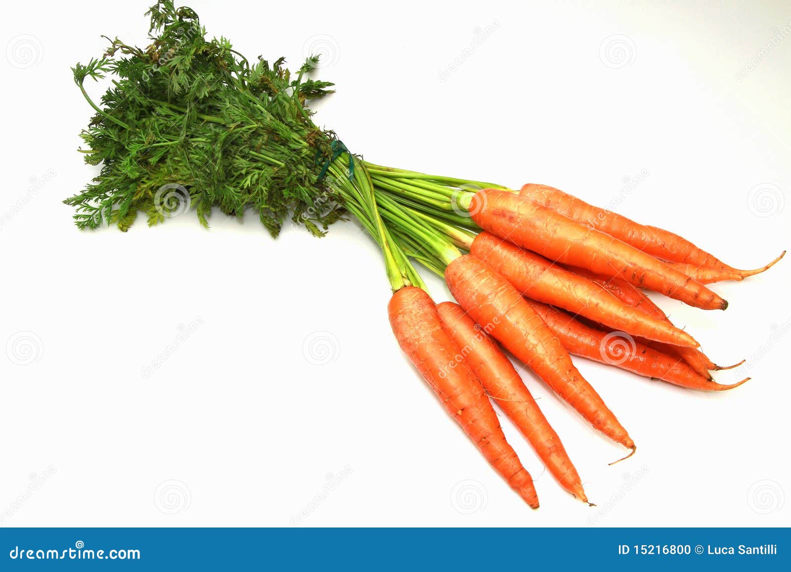 Fresh carrots stock photo. Image of roots, salad, colorful - 15216800